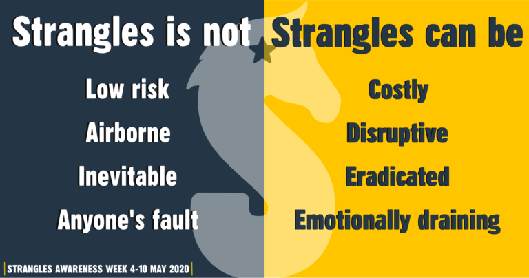 Strangles Awareness – Fight The Fiction. Find the Facts! | Naylors Blog ...