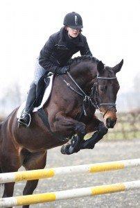 Correctly Fitting Tack and Why It’s Important | Naylors Blog | Naylors