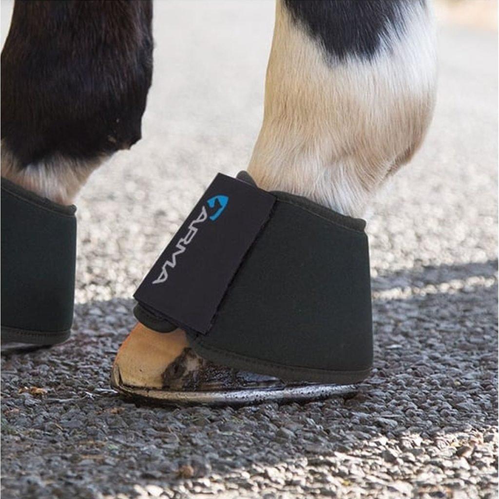 Horse Boots 101 | Which Boots Are Best For Your Horse? | Naylors Blog ...