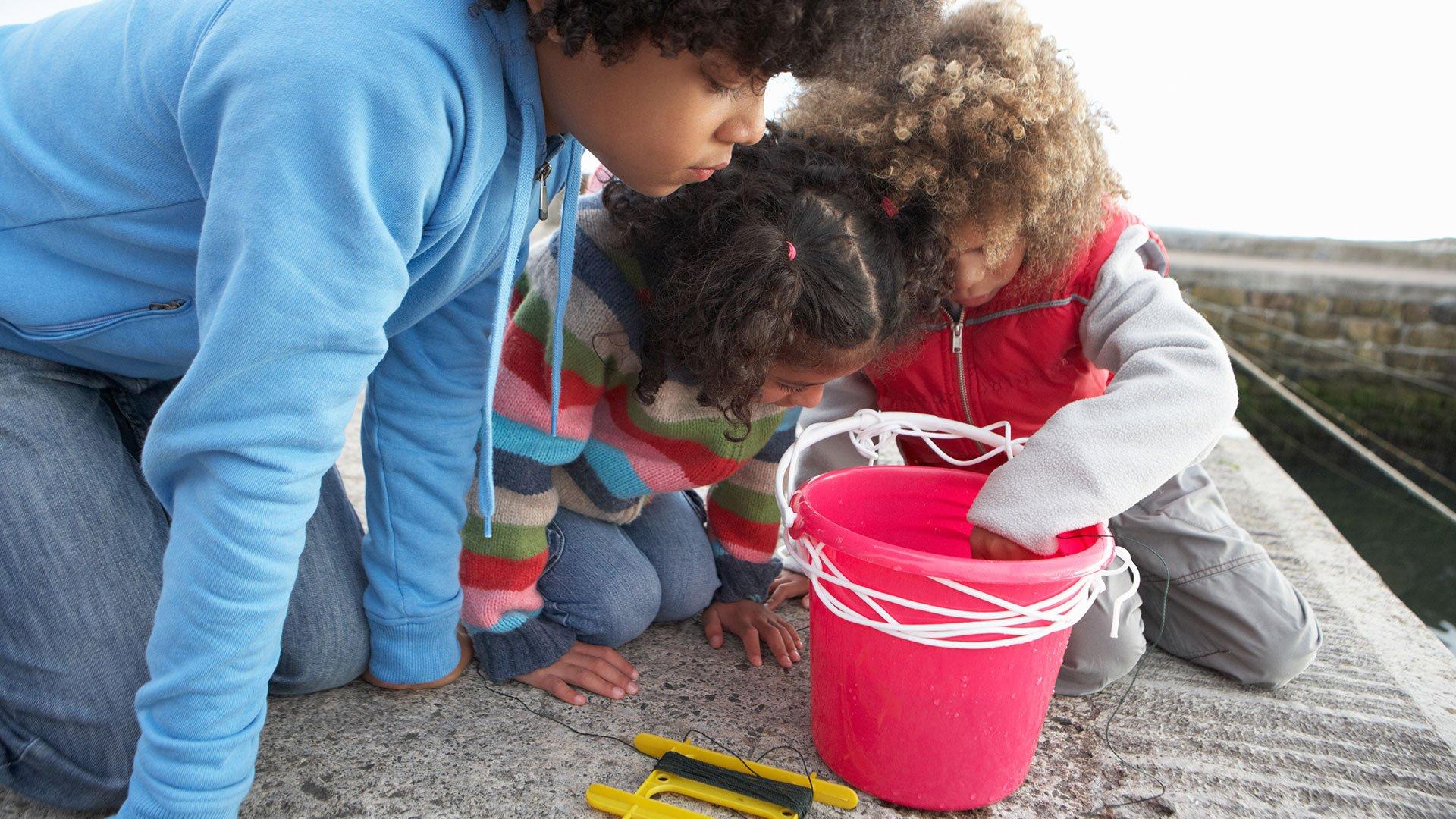 Catch of the Day – A Guide to Crabbing at the Seaside | Millets