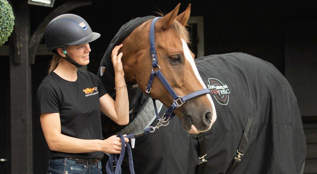 Meet The Magnetic Rug - New From Equilibrium | Naylors Blog | Naylors