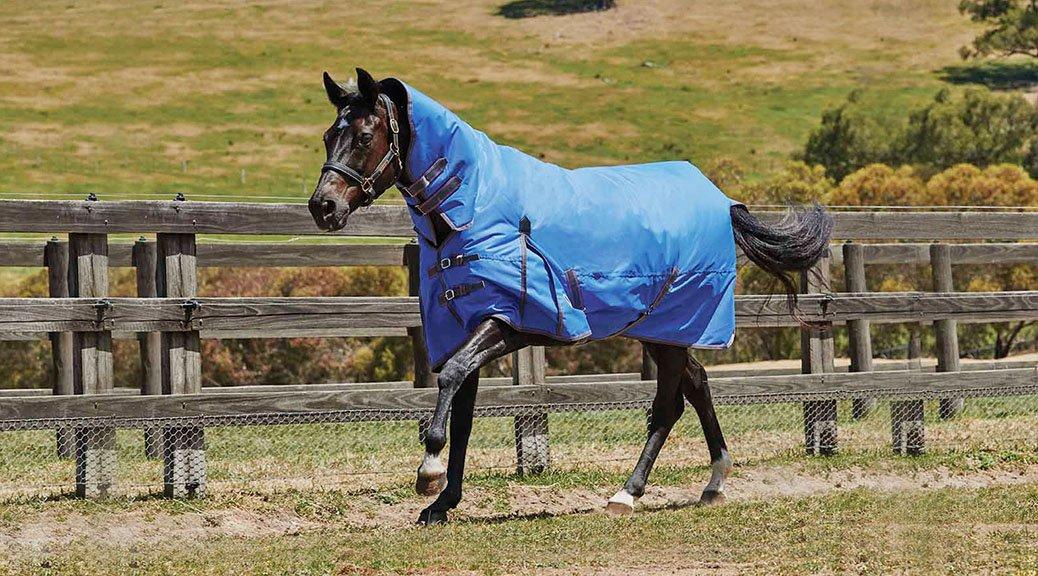 Horse Rug Guide Autumn/Winter 2016 | Naylors Blog | Naylors