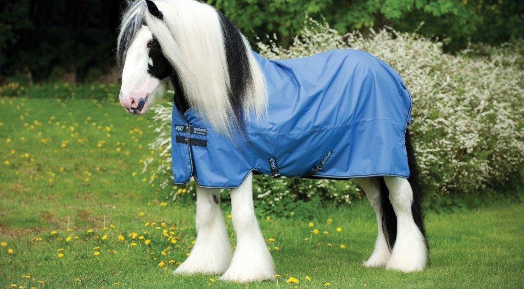 Bog Burn – Symptoms, Prevention & Regrowth | Naylors Blog | Naylors