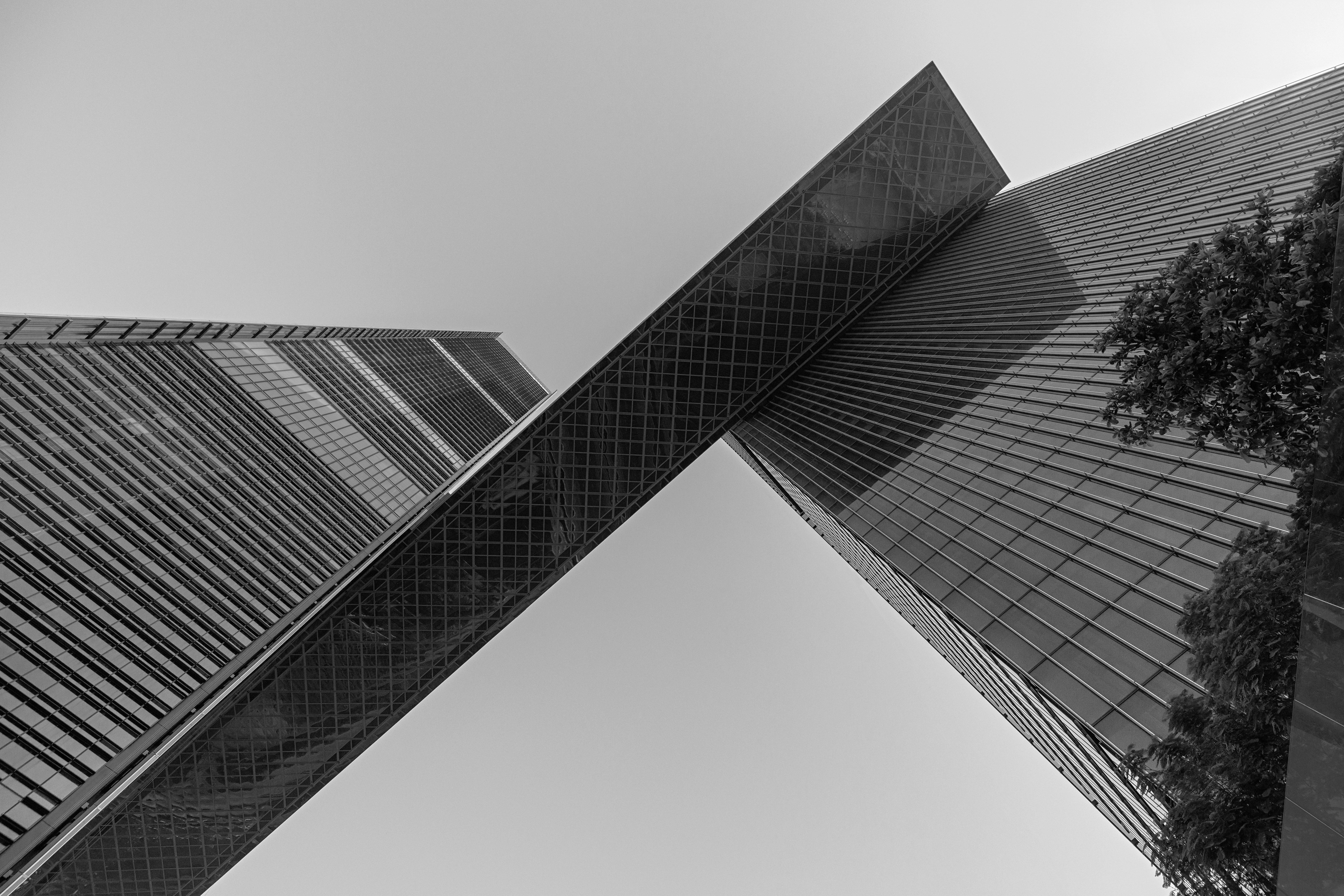 The Link Dubai | Ultimate Lifestyle & Fine Dining Destination