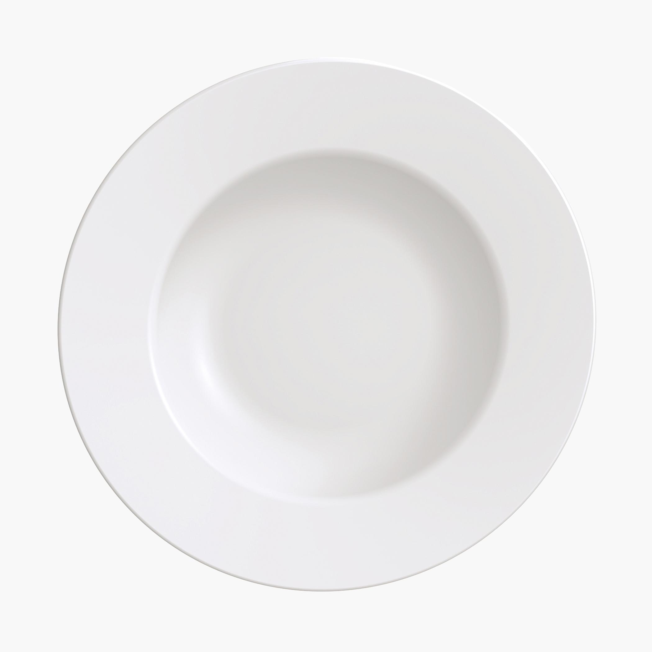 Shop Tramontina Porcelain Dinner Plate - 28 cm | Home Centre UAE