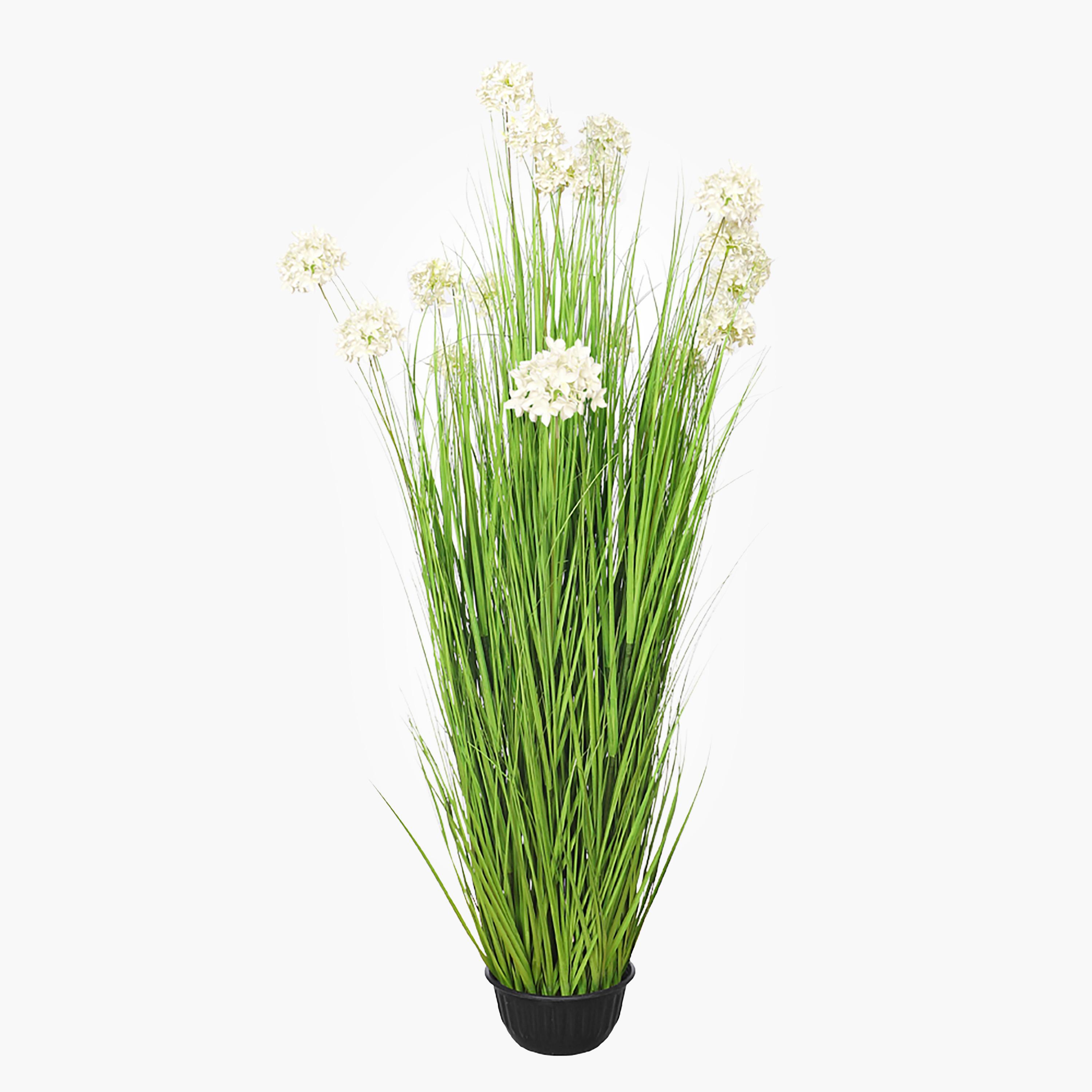 Shop Flower with Grass in Pot - 120 cm | Home Centre UAE