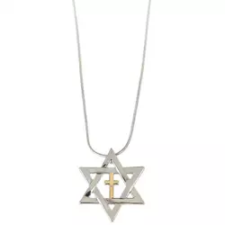 Messianic Gifts at Mardel