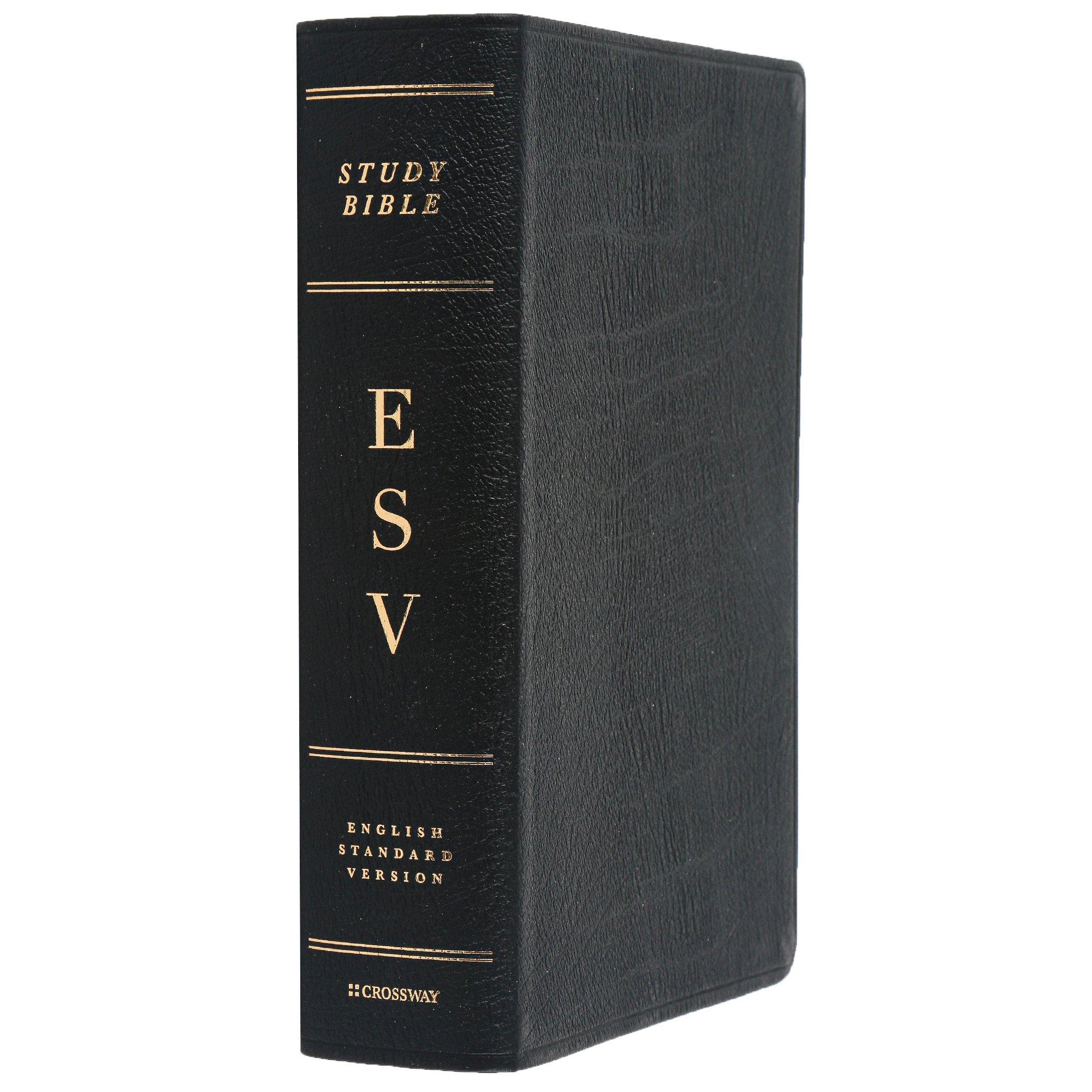 ESV Study Bibles - Choosing a Bible | Mardel