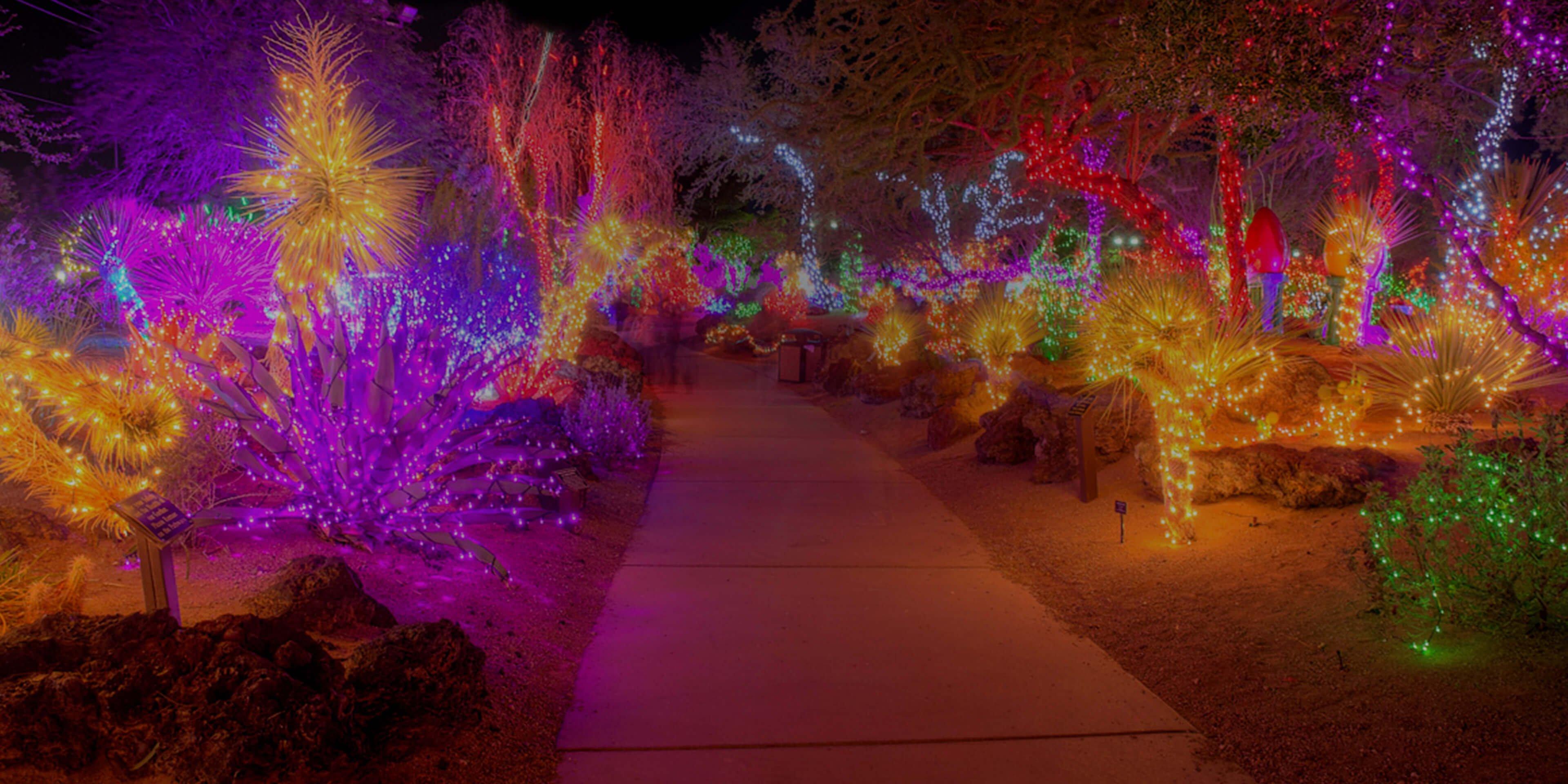 Ethel M Chocolates Premium Chocolate Gifts | Ethel M Chocolates