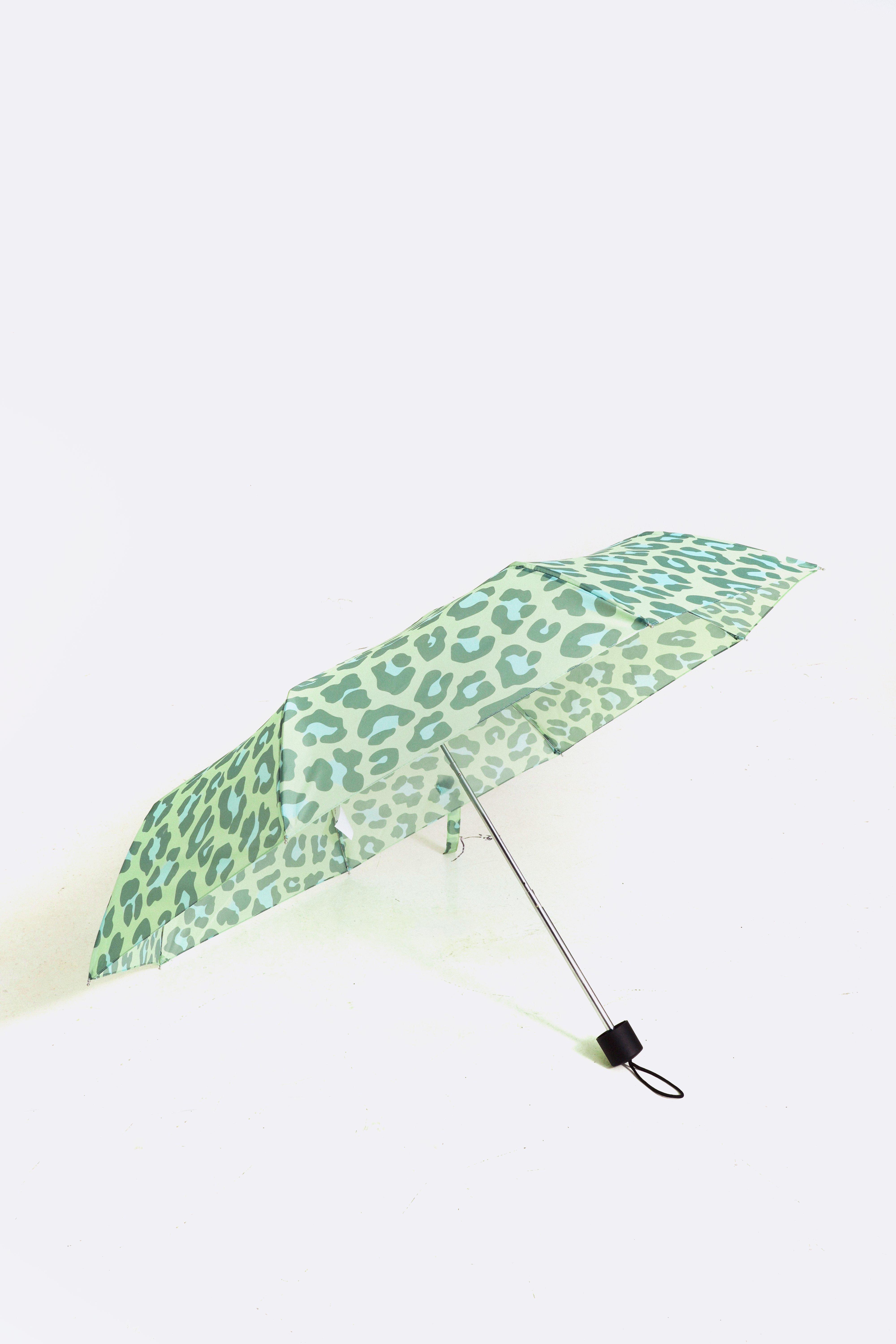 Umbrella