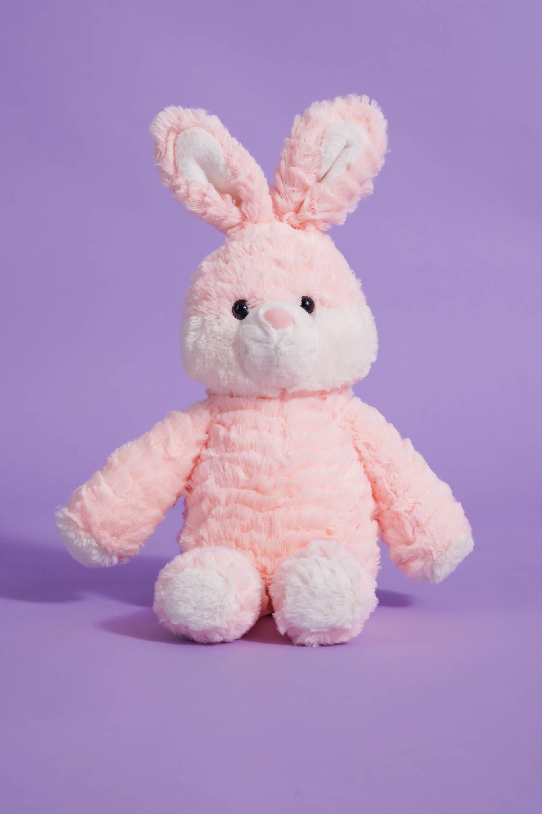 Bunny Soft Toy