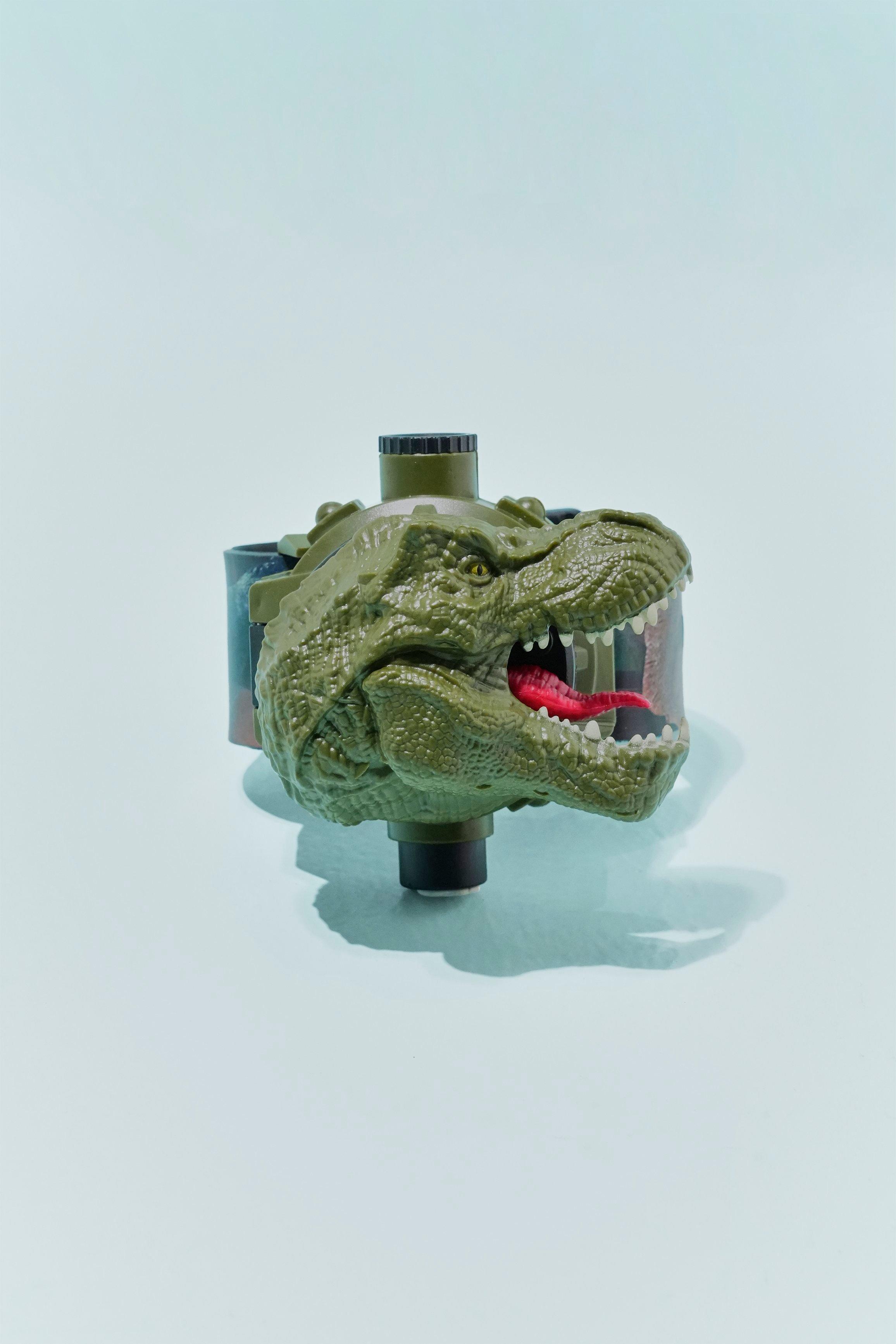 Dino Reflector Watch