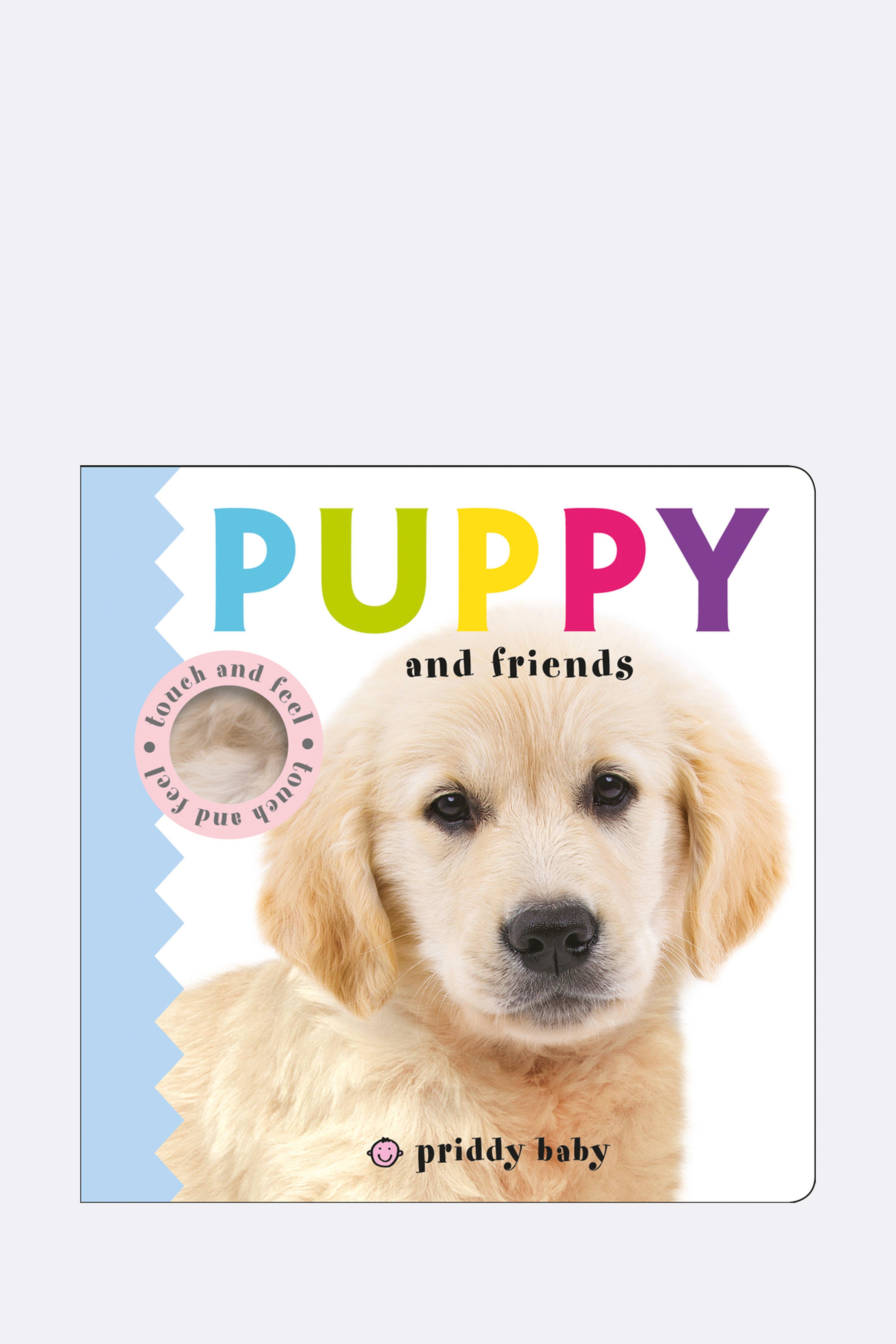Touch + Feel: Puppy + Friends Board Book