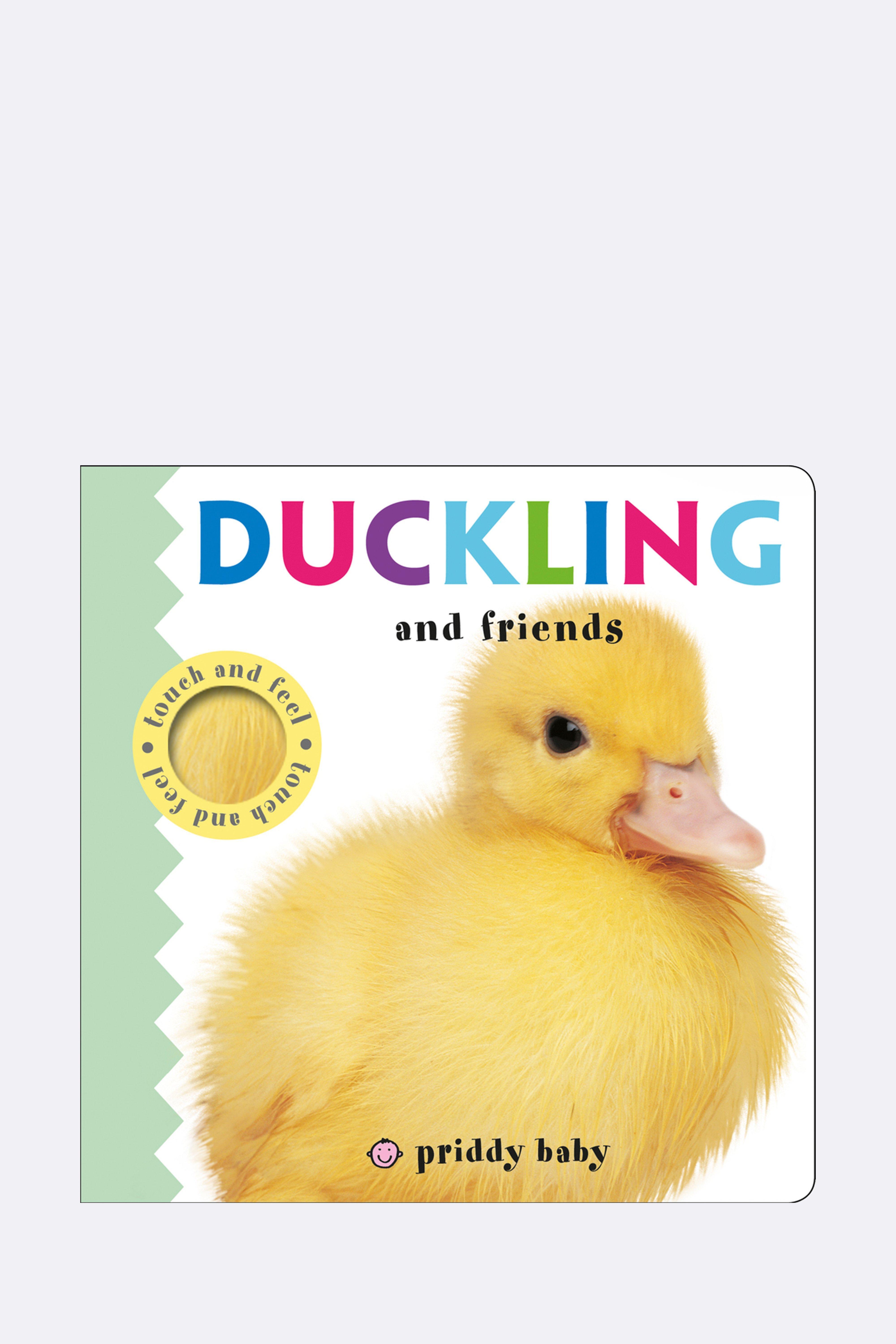 Touch + Feel: Duckling + Friends Board Book