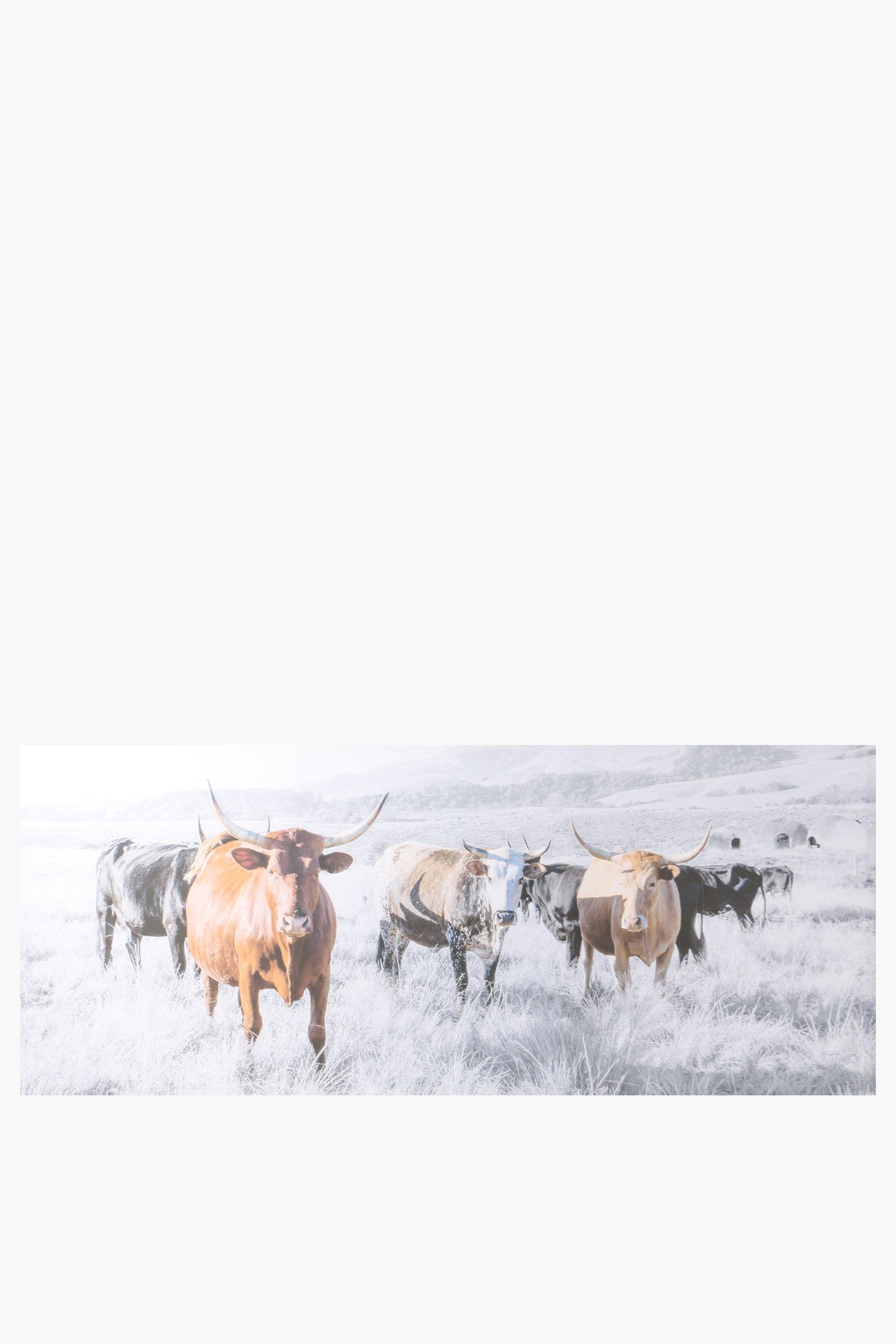 Nguni Herd Canvas 70x170cm