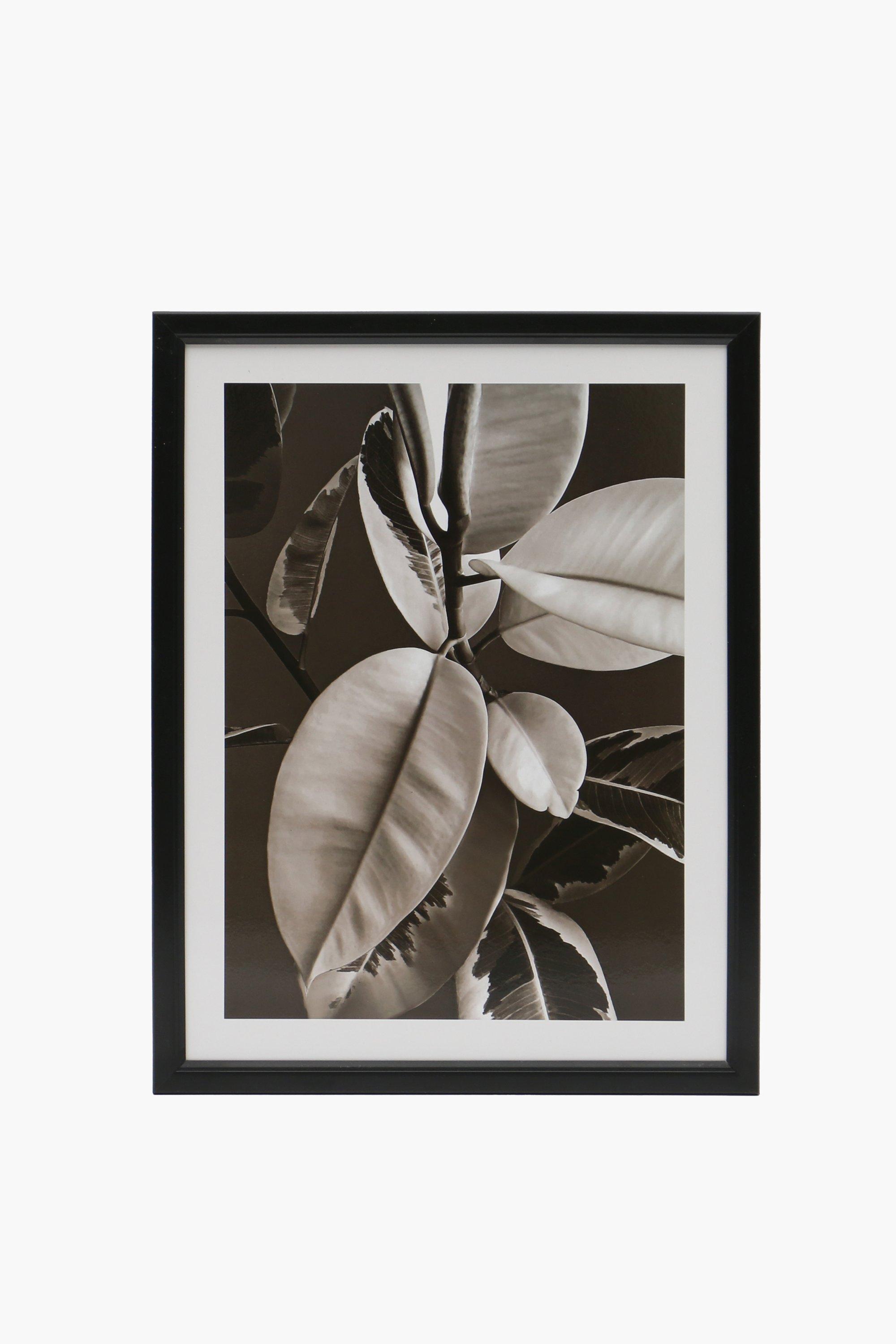 Framed Mono Leaf, 30x40cm