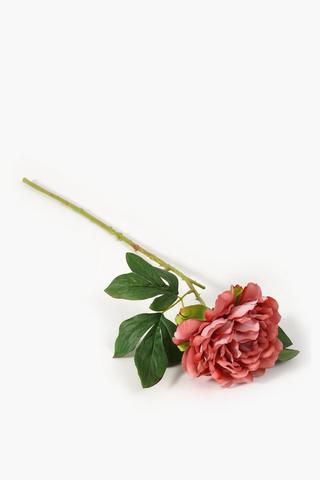 Garden Rose Single Stem, 64cm
