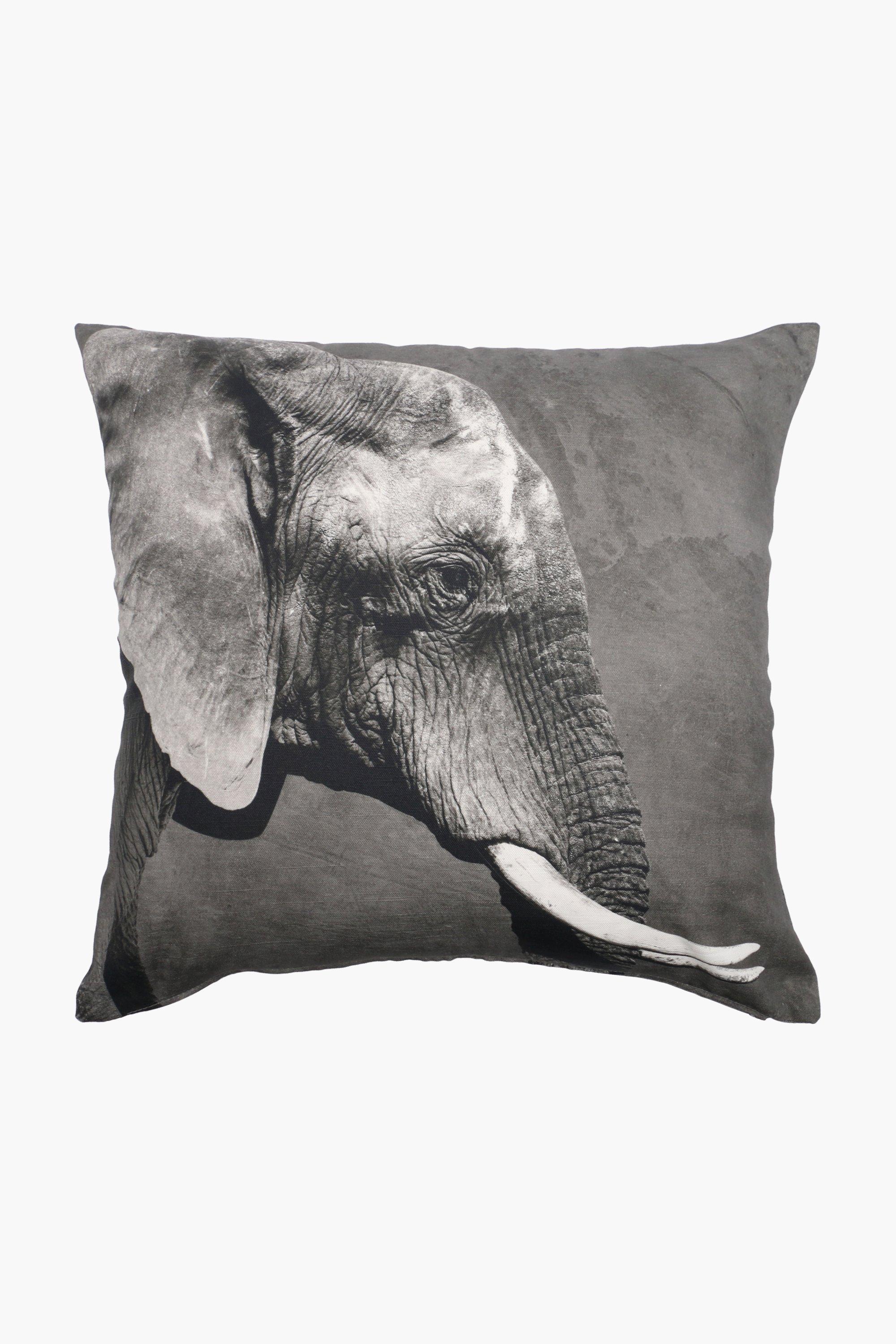 Printed Elephant Scatter Cushion, 50x50cm