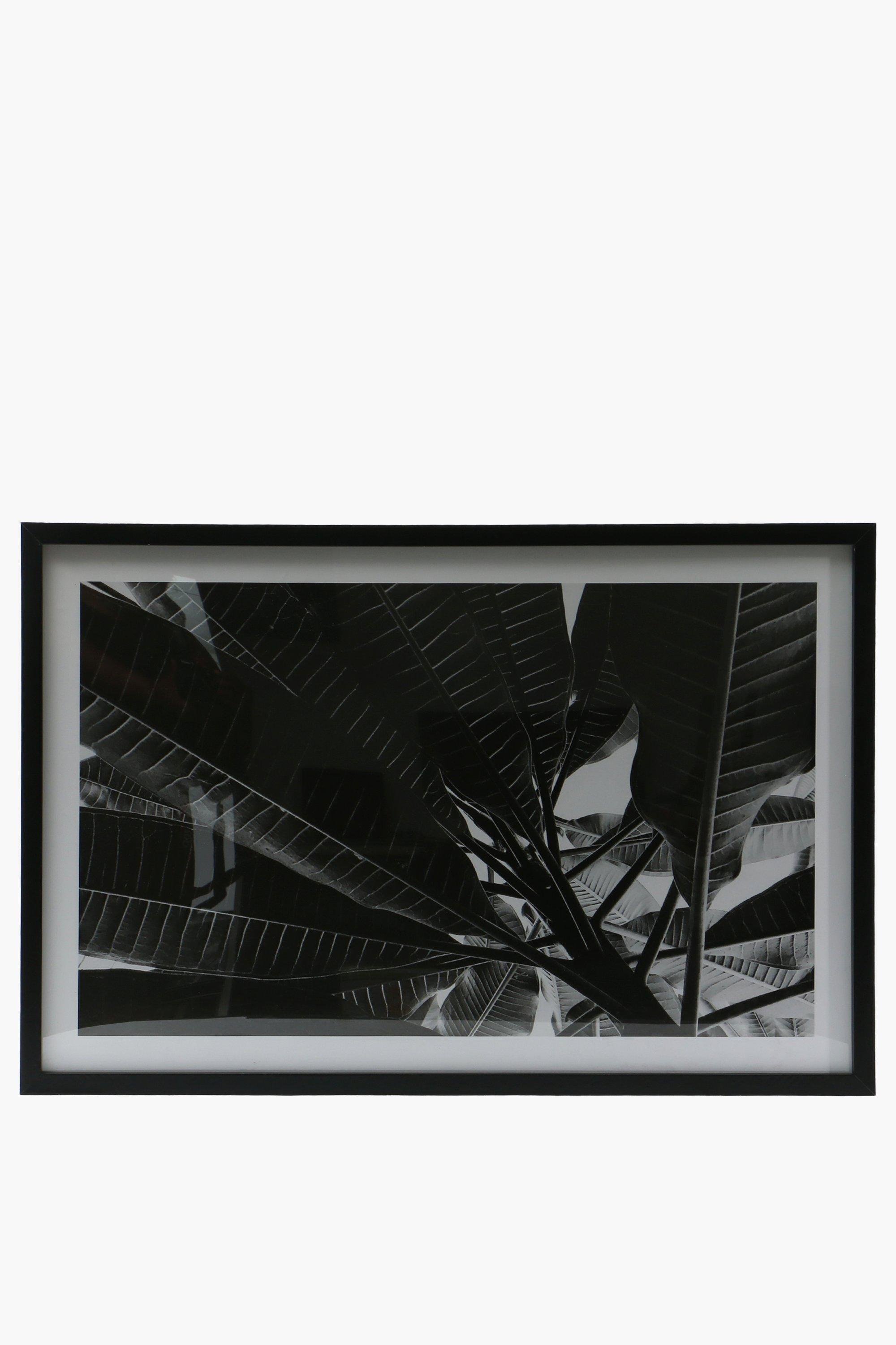 Frame Mono Tropical, 40x60cm