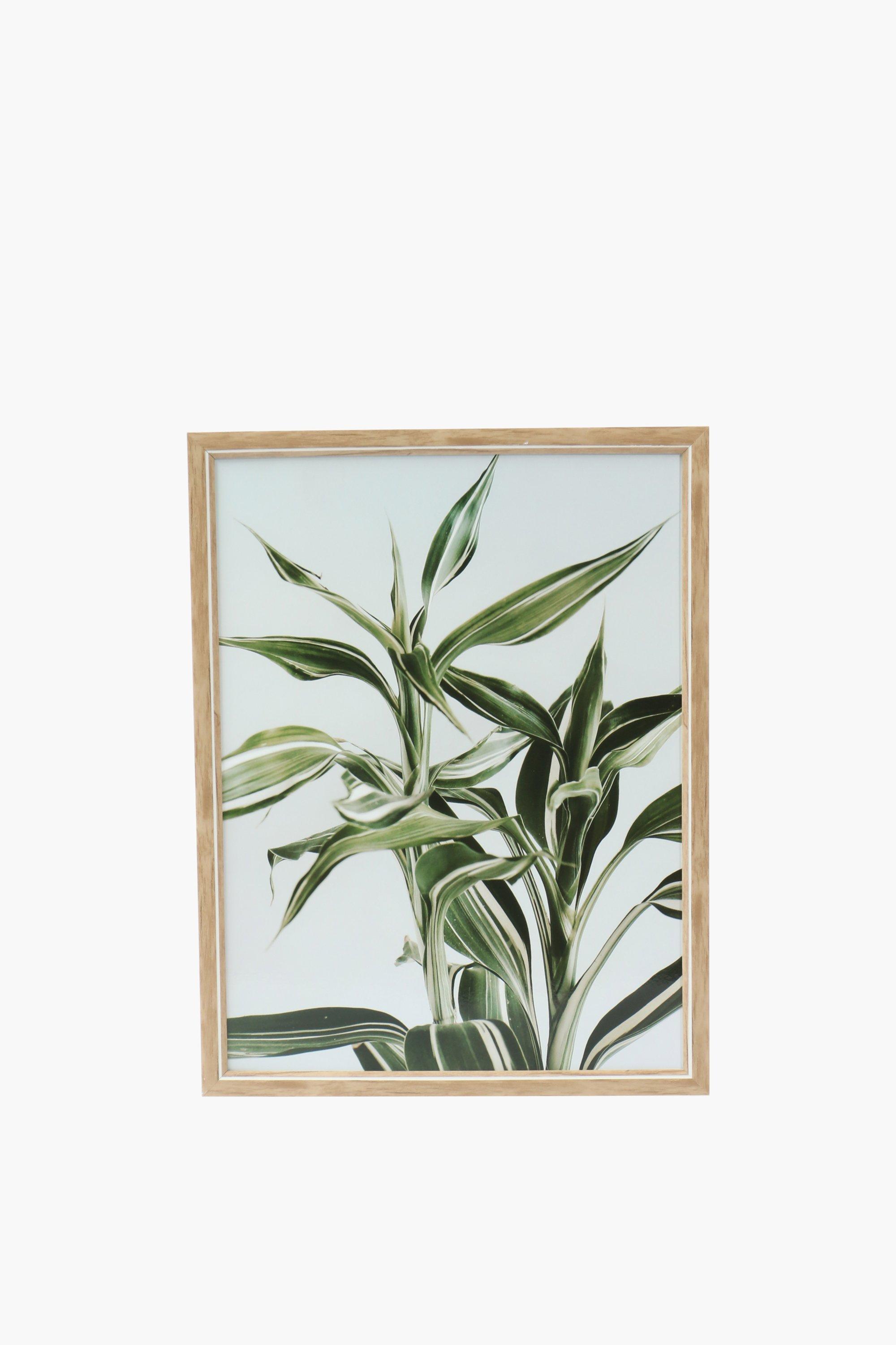 Framed Rustic Leaf Canvas, 34x40cm
