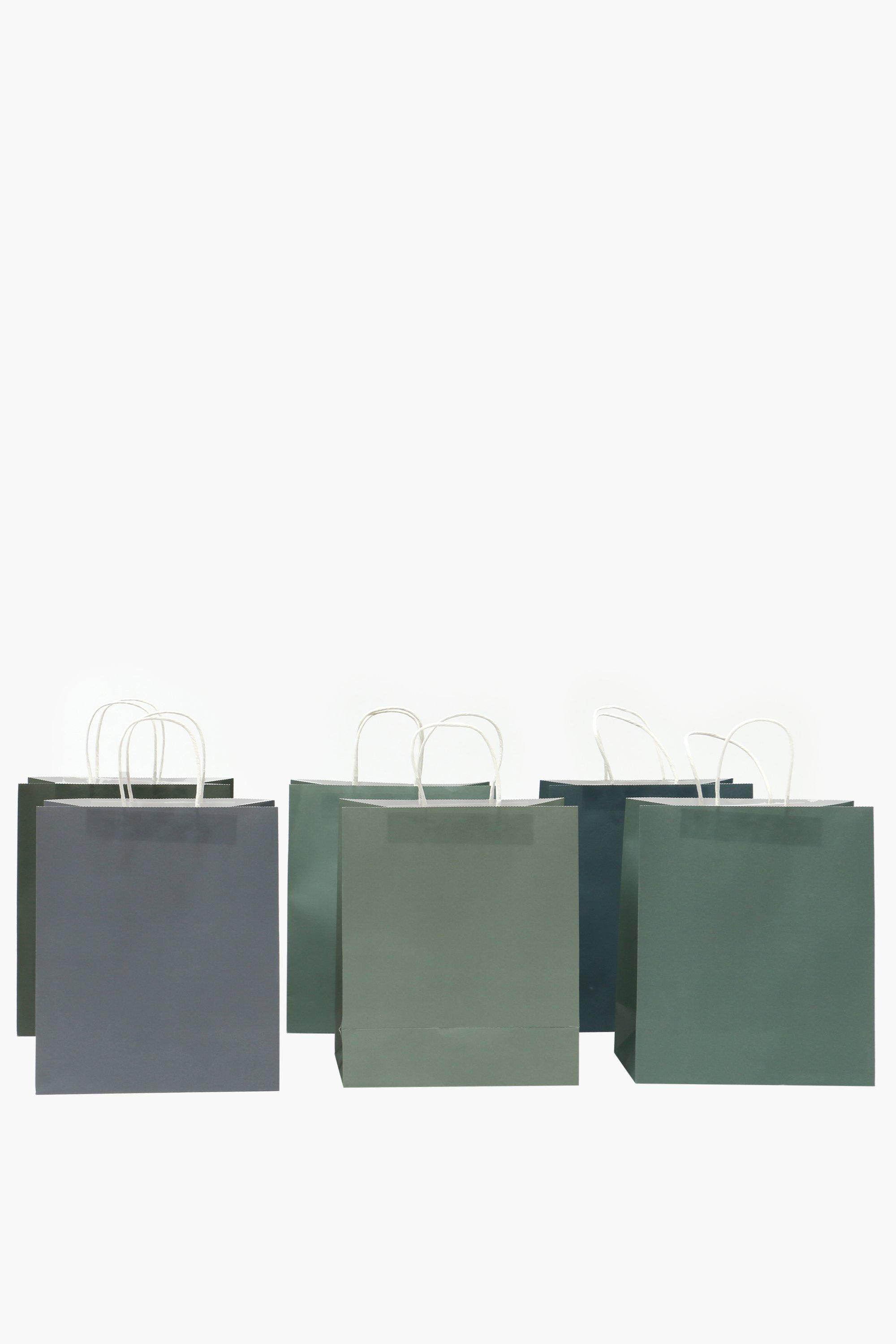 6 Pack Plain Gift Bags Medium