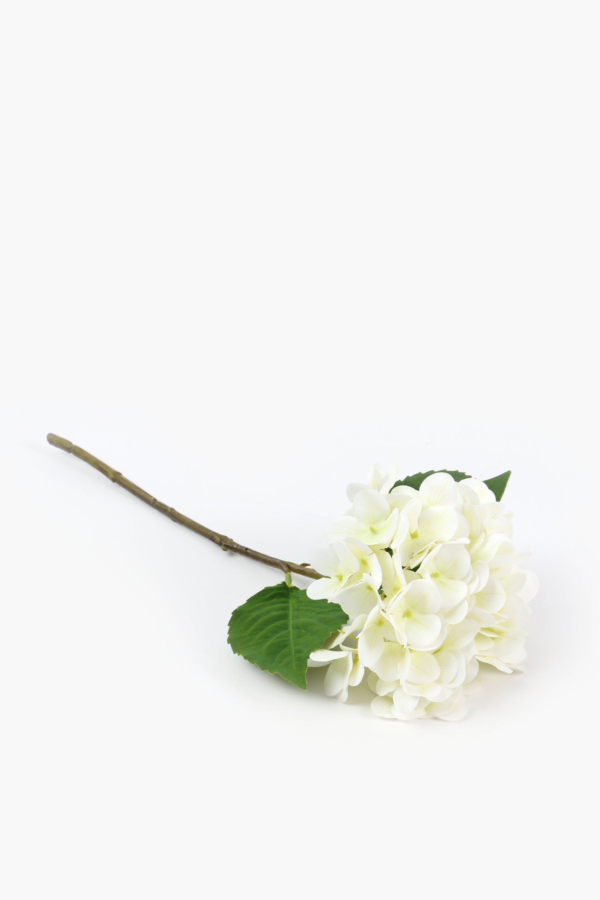 Hydrangea Single Stem 45cm 5974