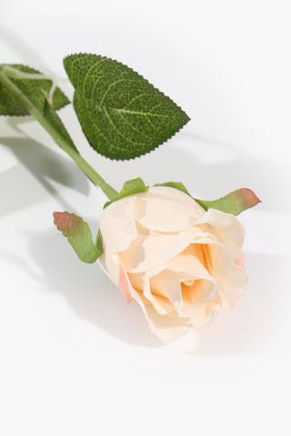 Rose Single Stem, 60cm