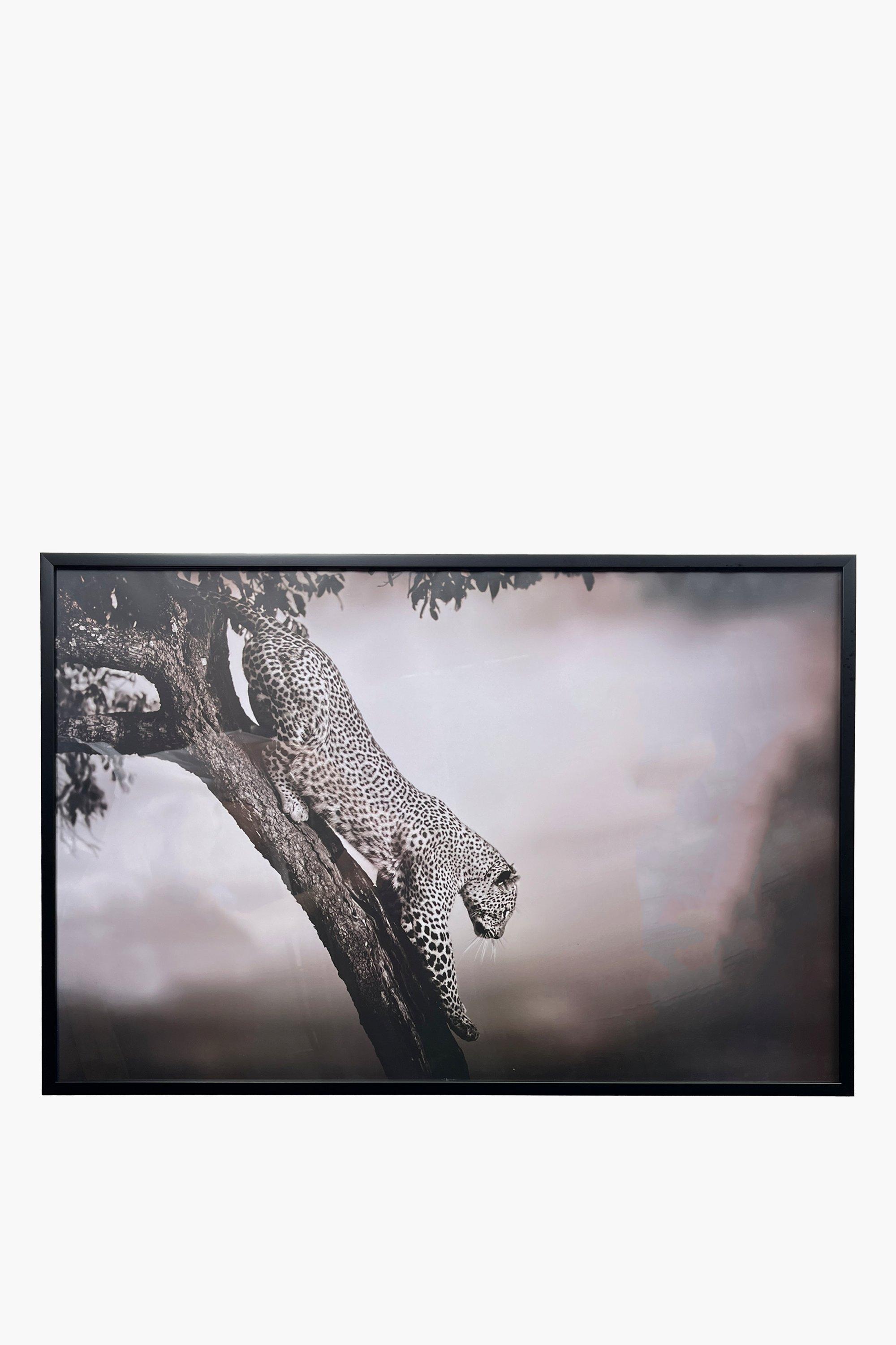 Framed Scouting Leopard, 60x90cm