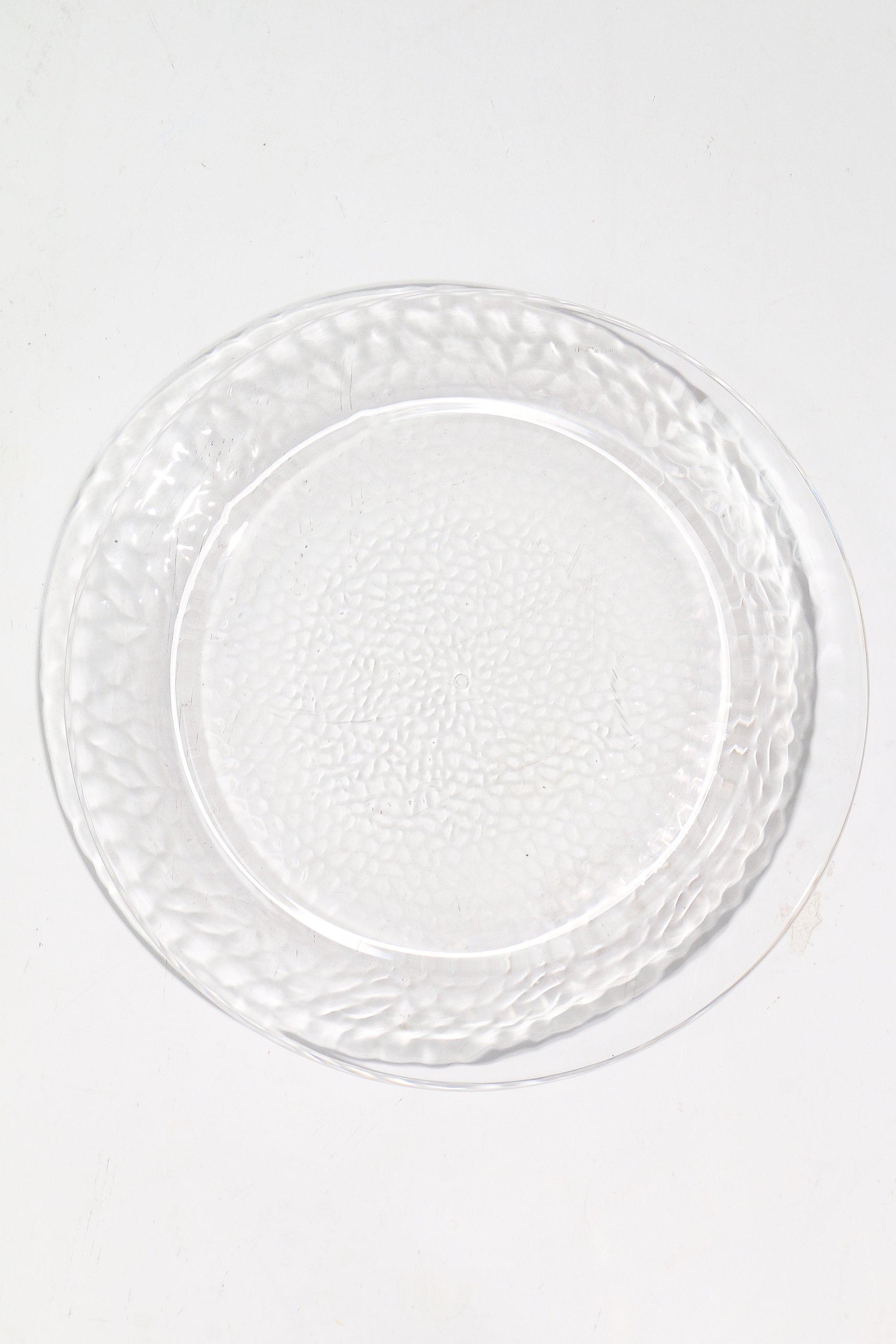 Stipple Acrylic Dinner Plate