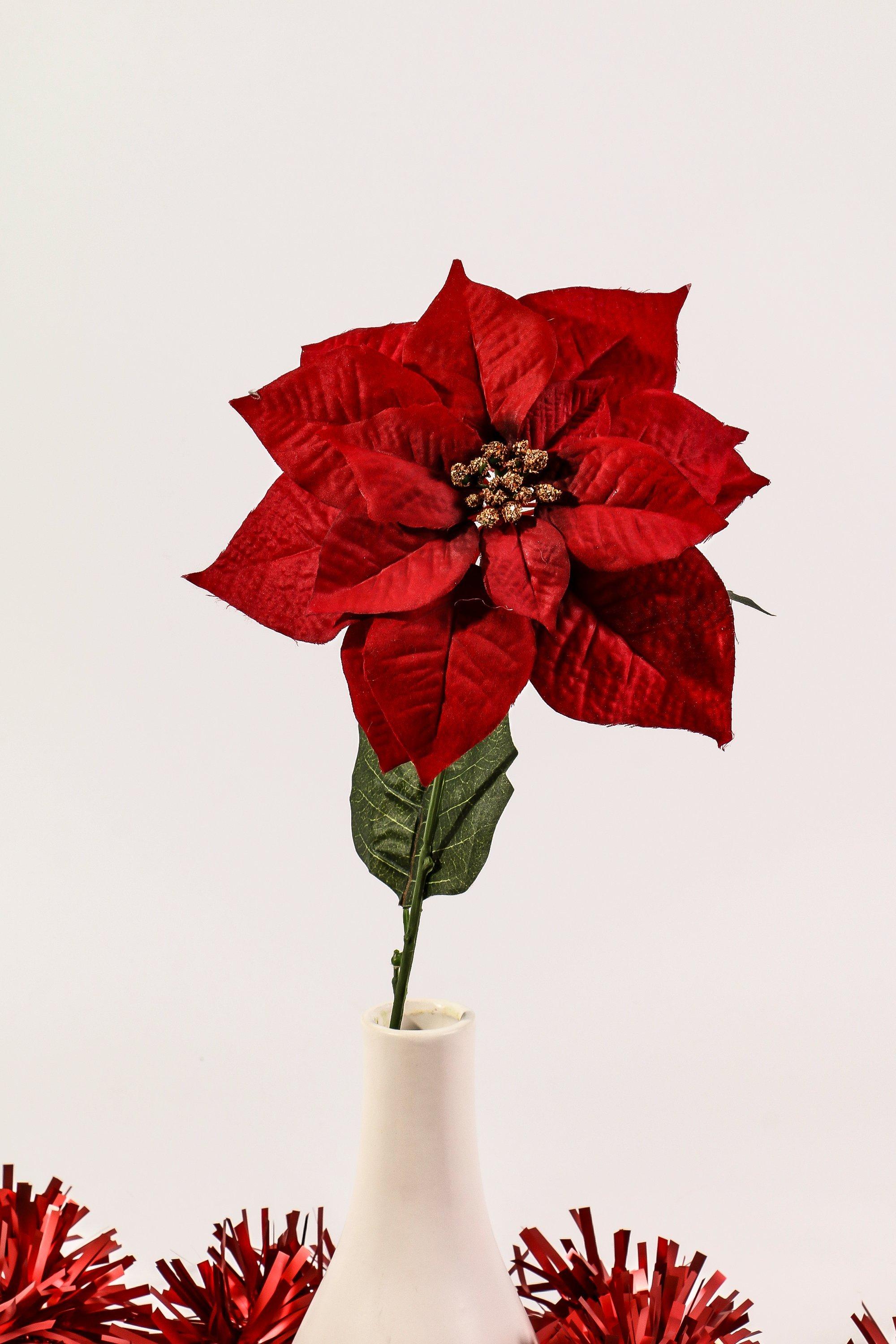 Poinsettia Single Stem, 70cm