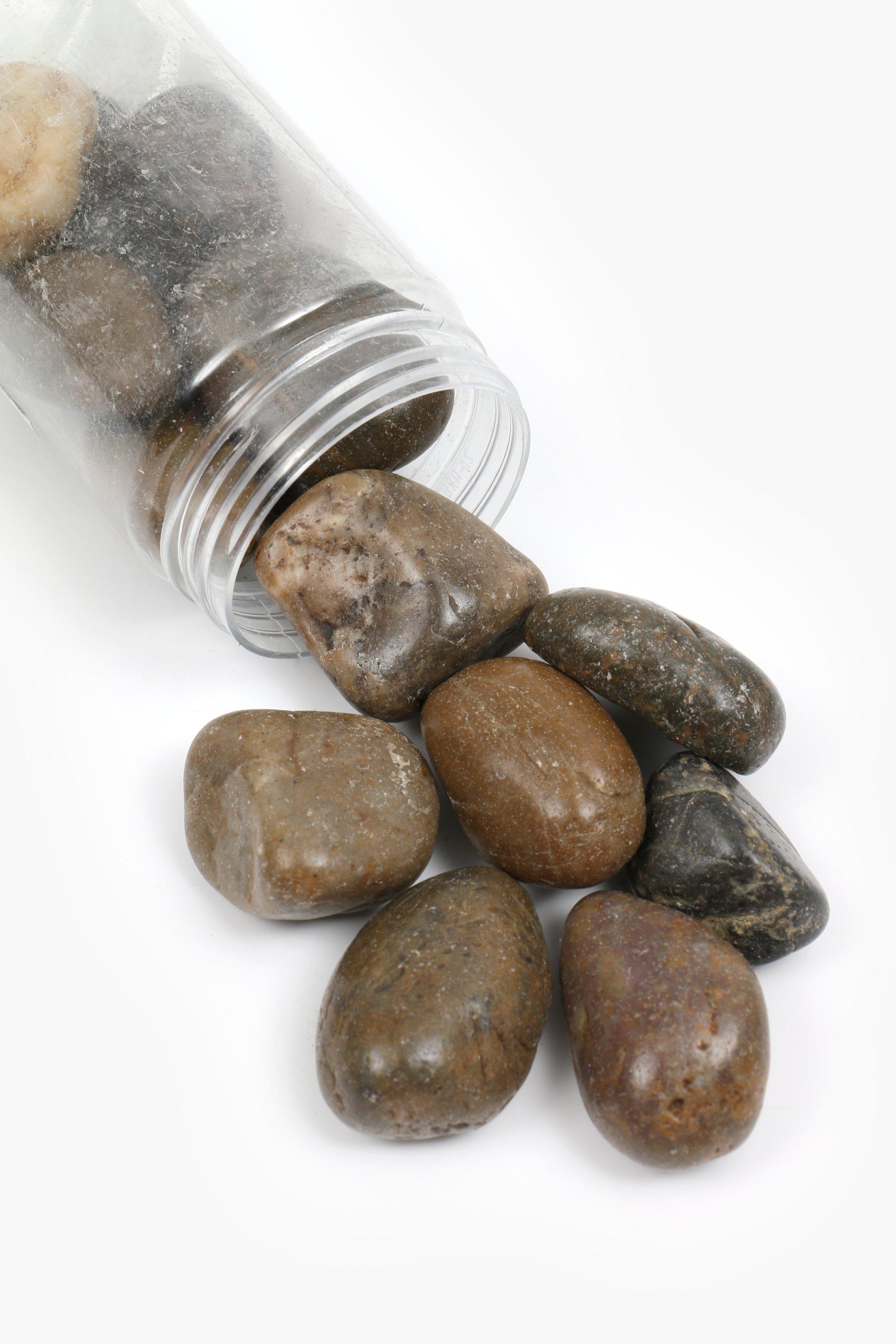 Stone Pebble Filler Pack