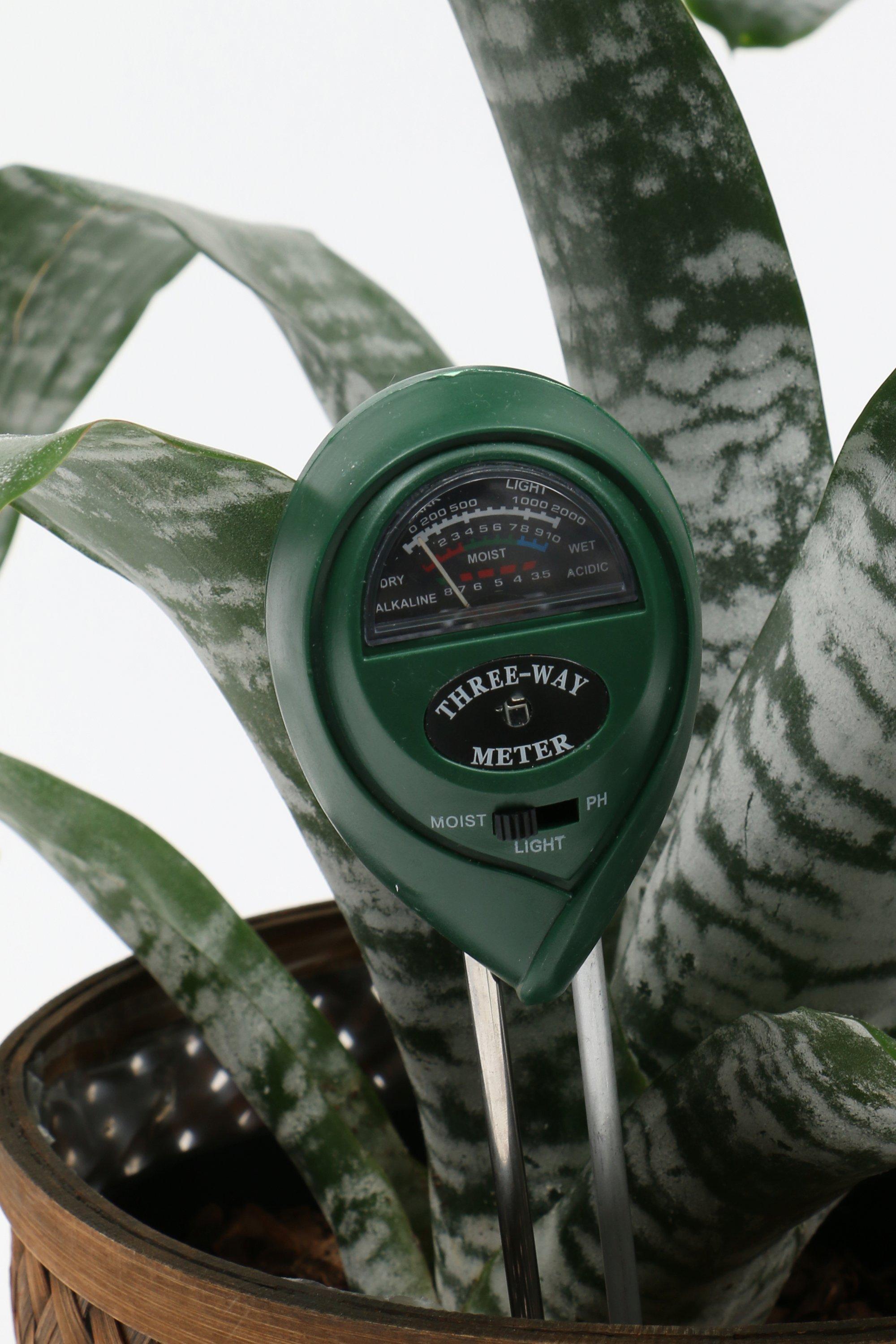 Essential 3-in-1 Plant Care Soil Meter