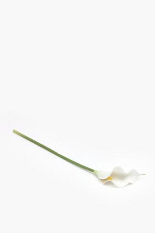 Anthurium Single Stem, 50cm