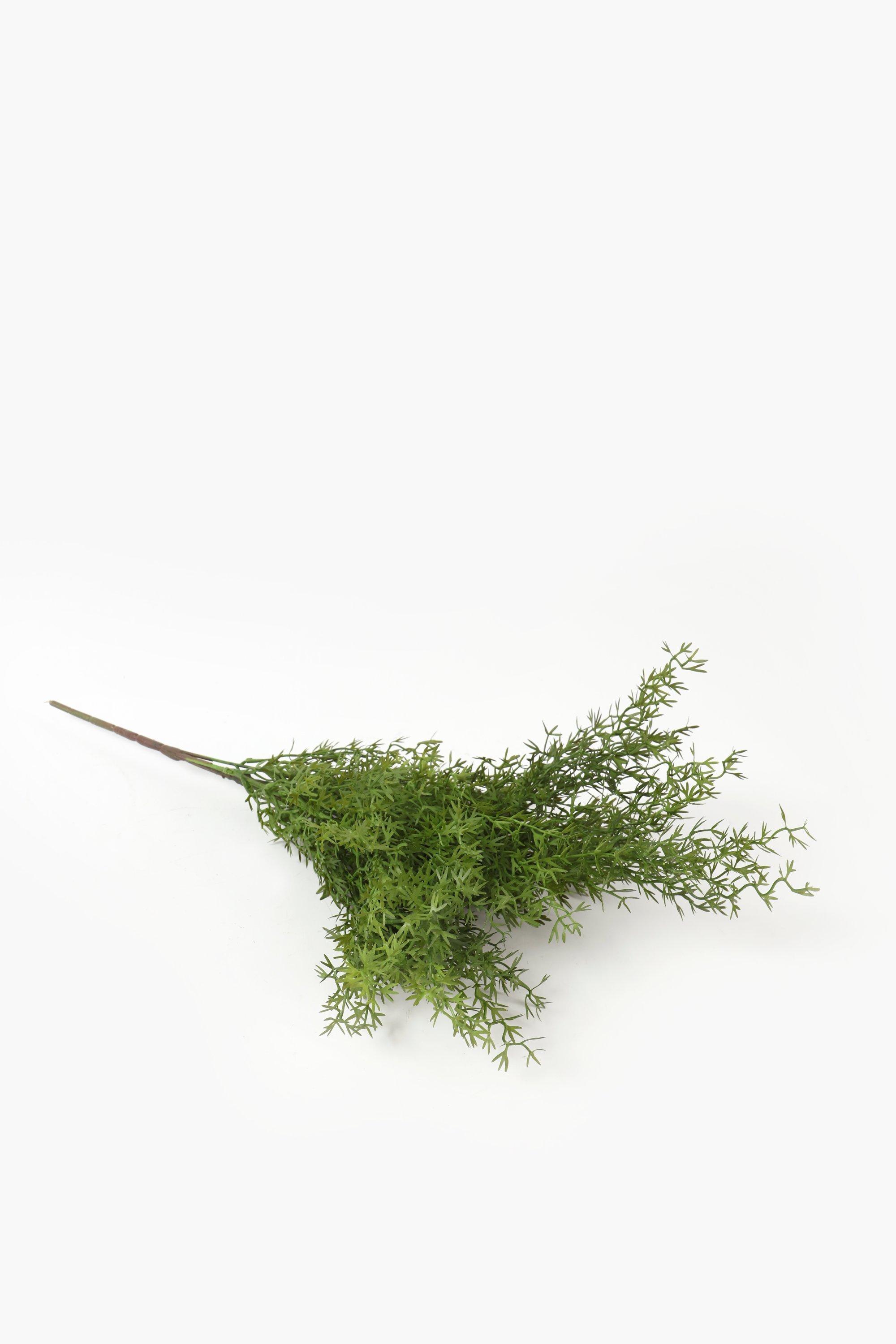 Rosemary Single Stem, 60cm