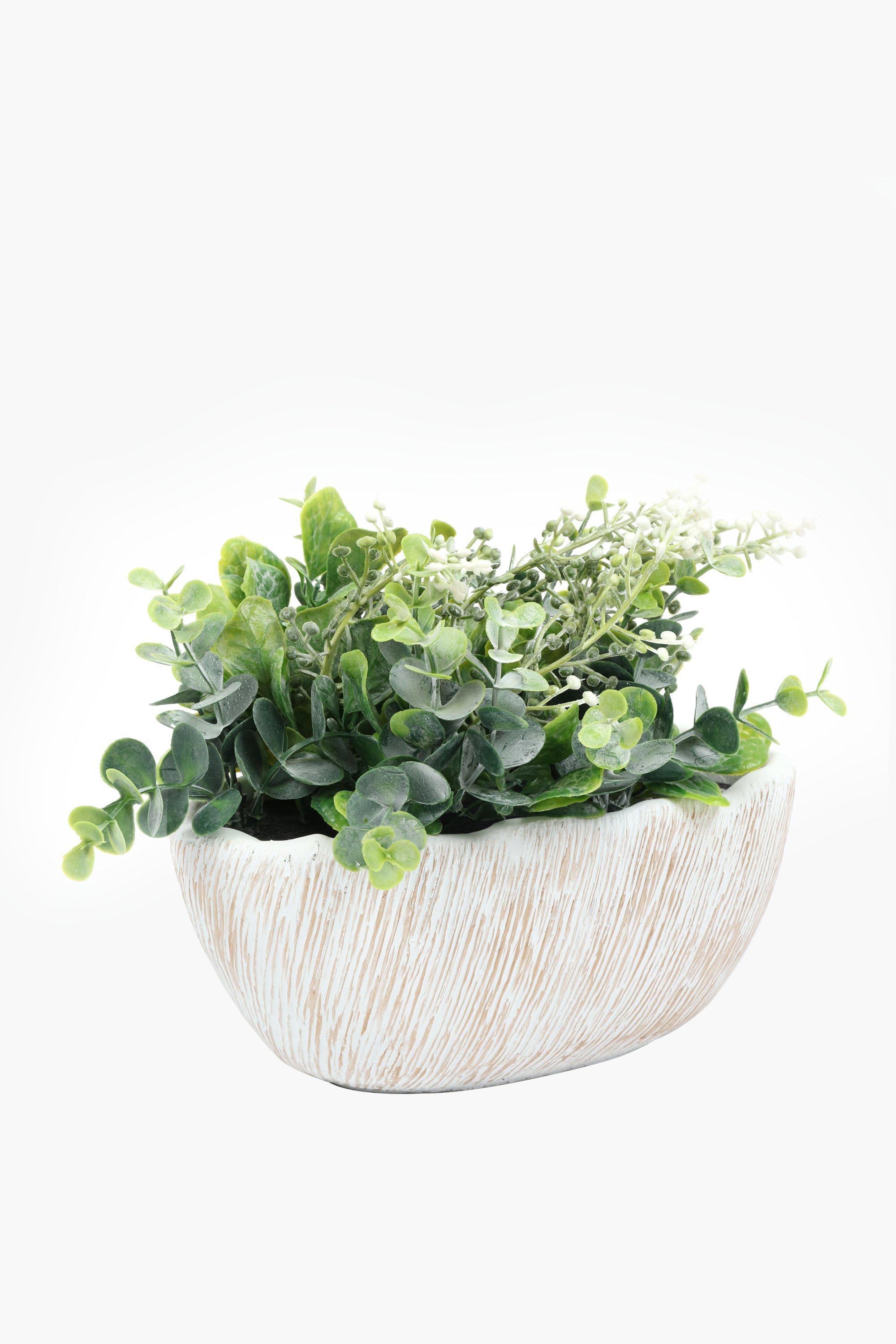 Daisy Bush In Scratch Pot, 21x18cm