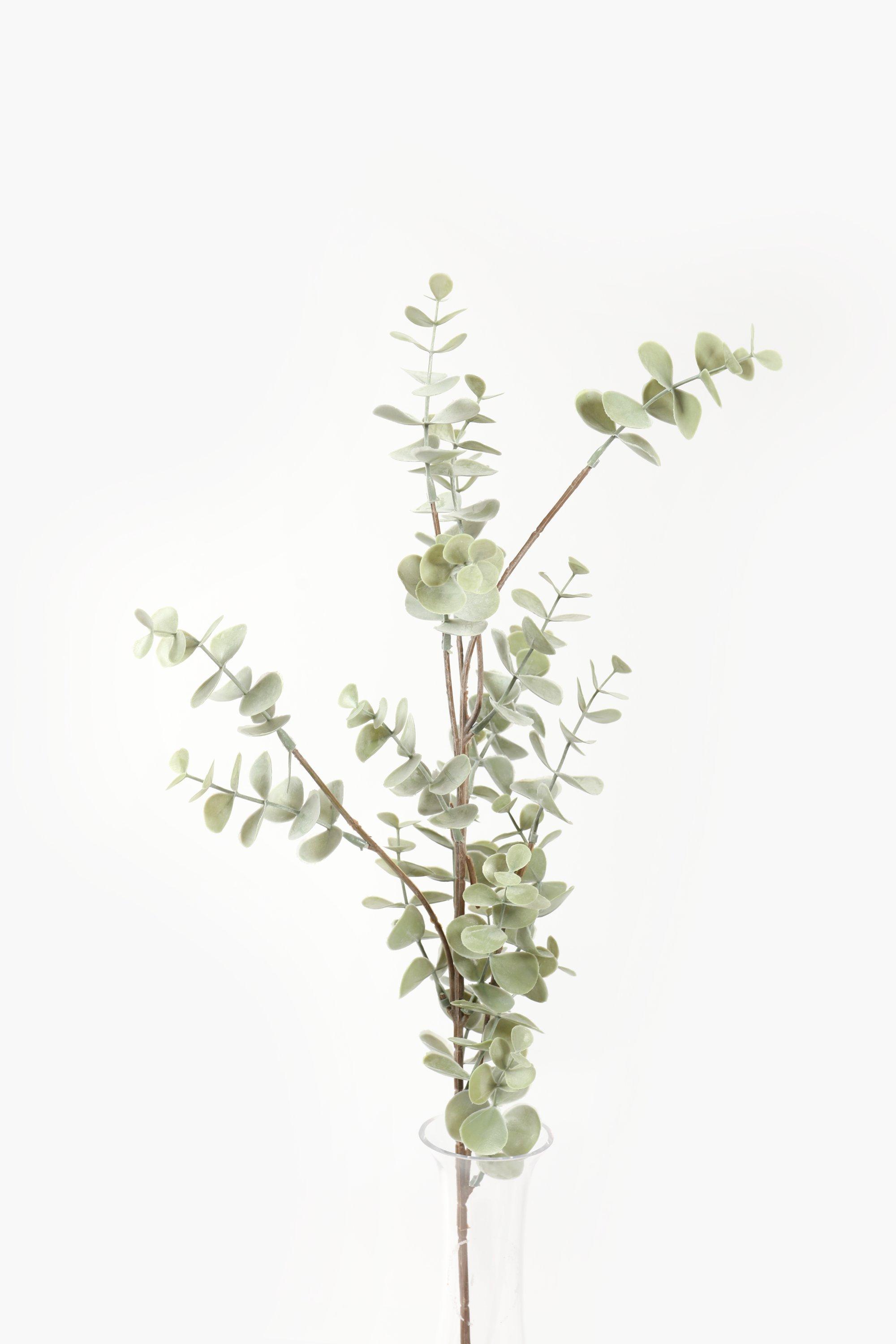 Penny Gum Single Stem, 86cm