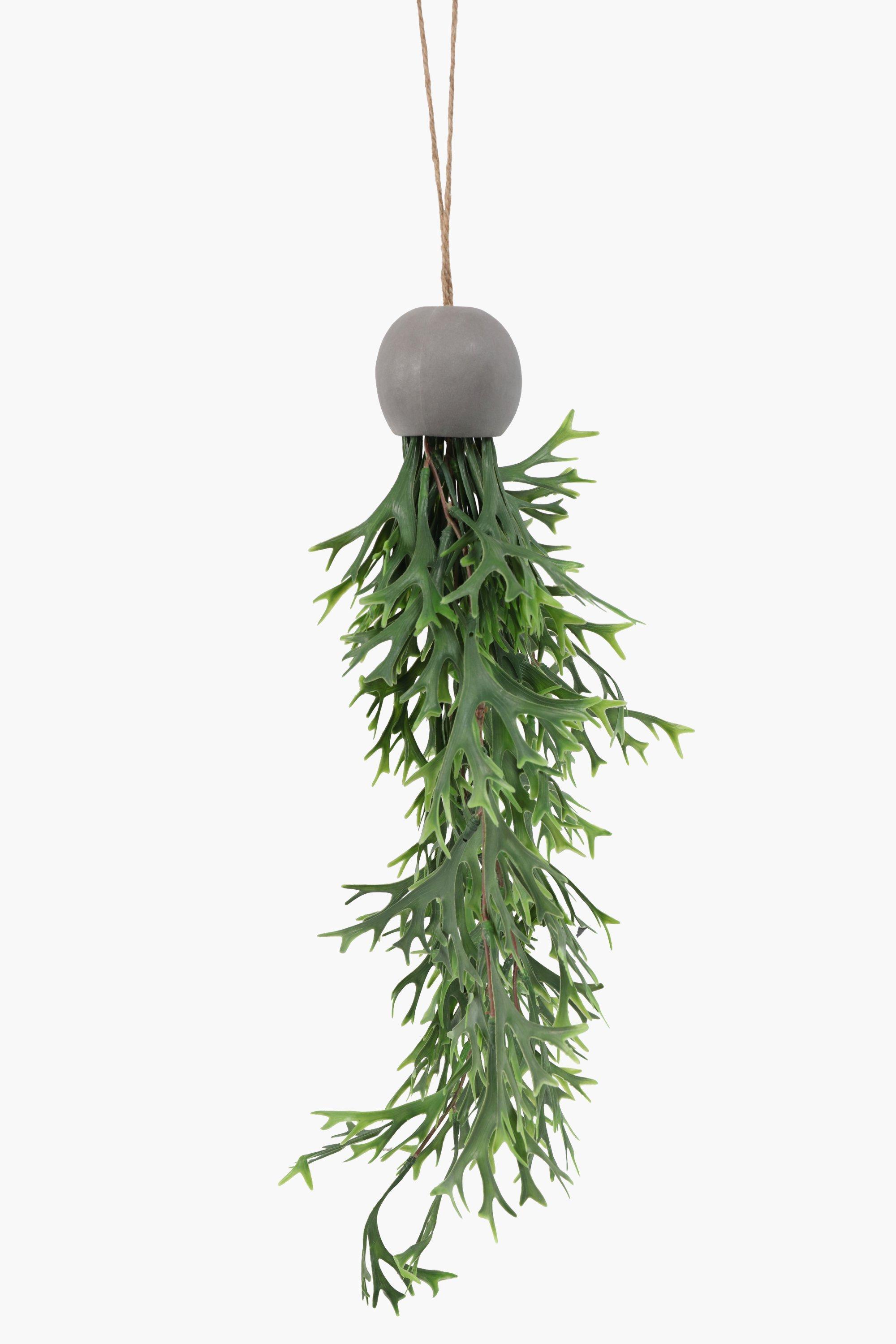 Hanging Horn Stag, 7x64cm