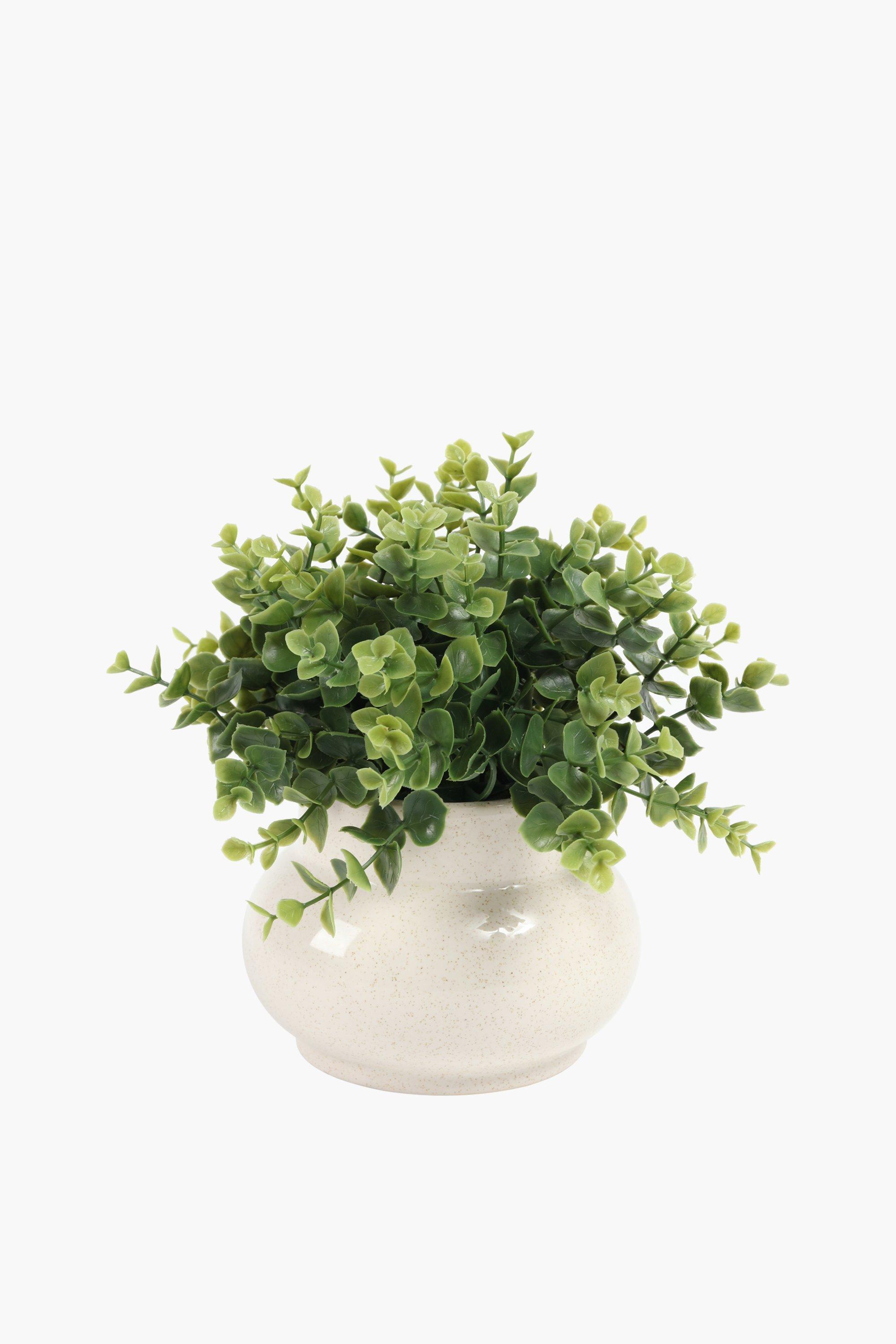 Greenery In Crackle Pot,
