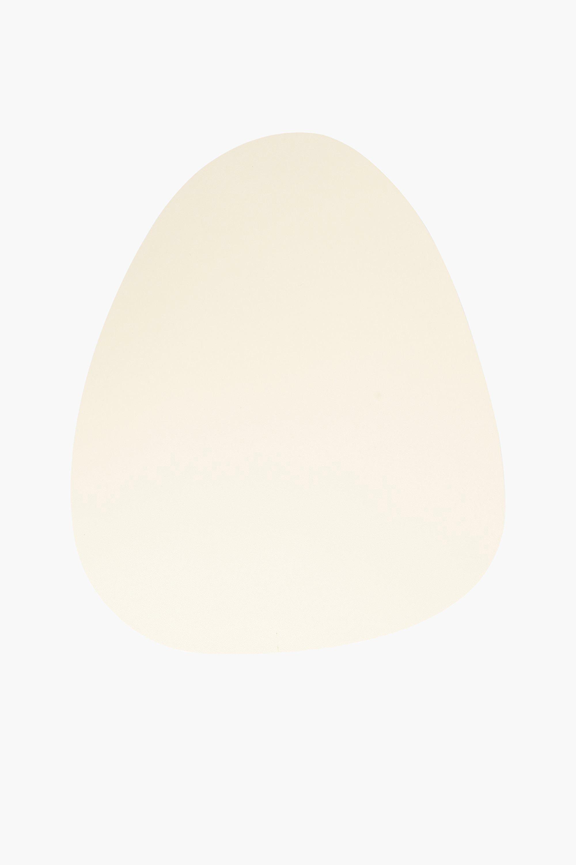 Irregular Shape Pu Placemat