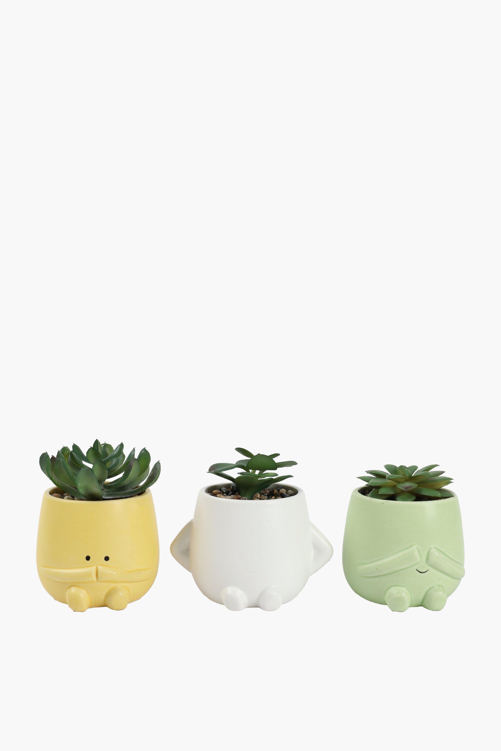 Assorted Emoji Succulent, 8x12cm