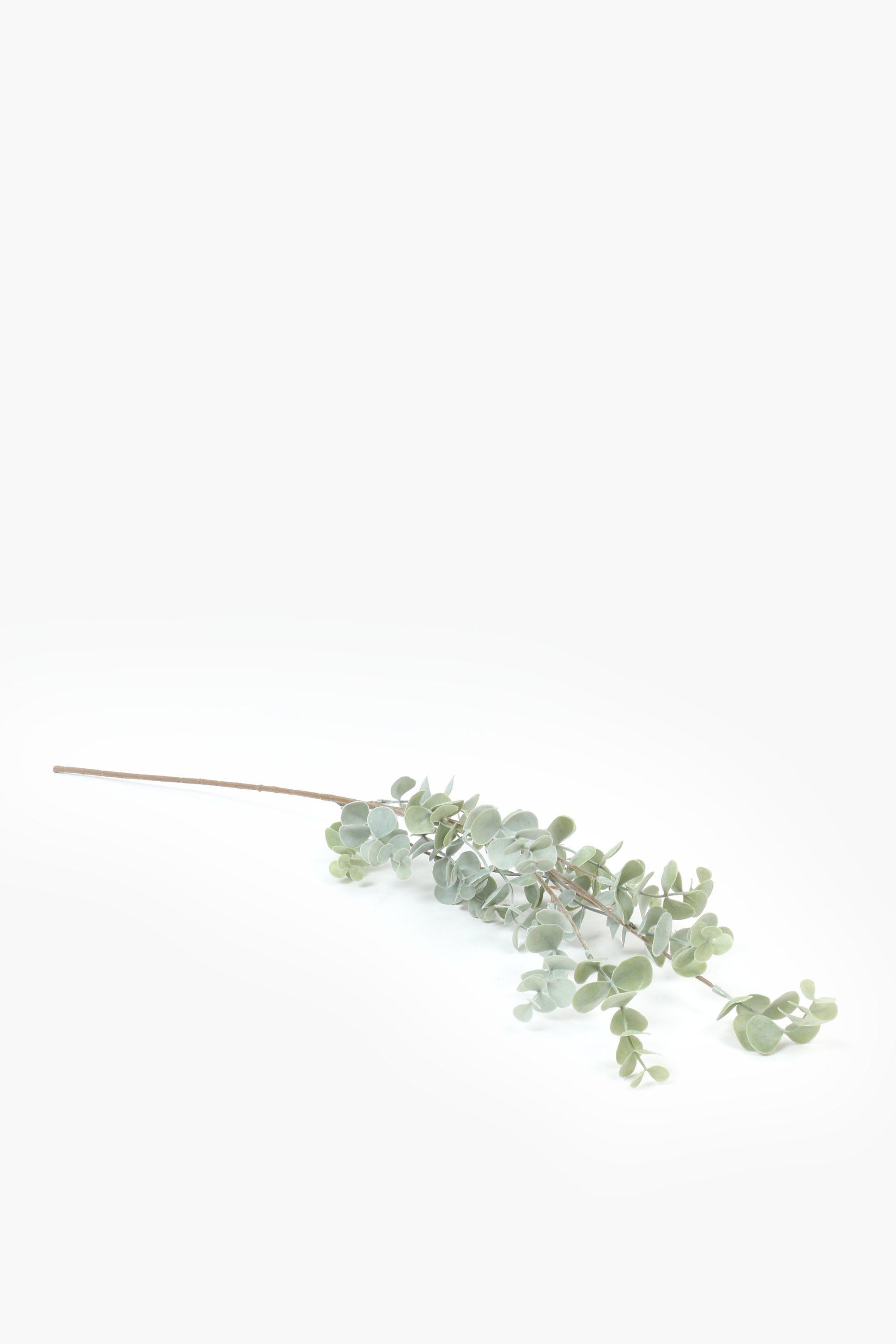 Penny Gum Single Stem, 86cm