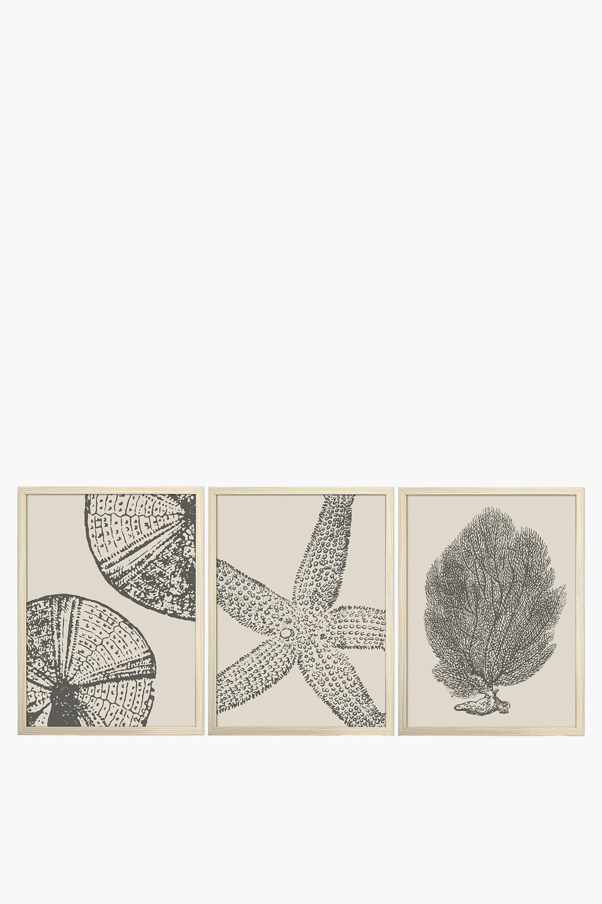 Framed 3 Pack Coastal Icons, 40x60cm