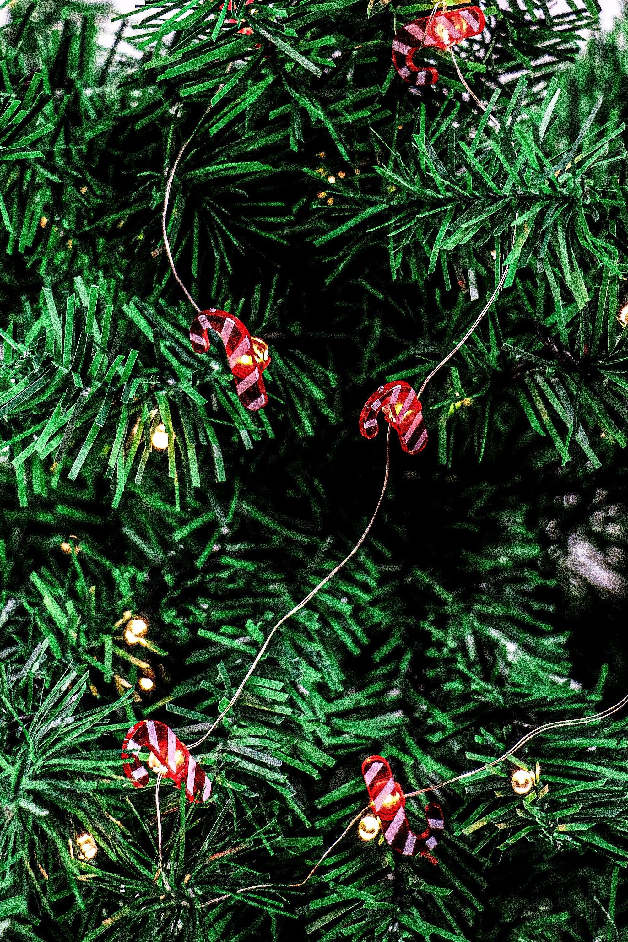 Candy Cane String Lights, 150cm