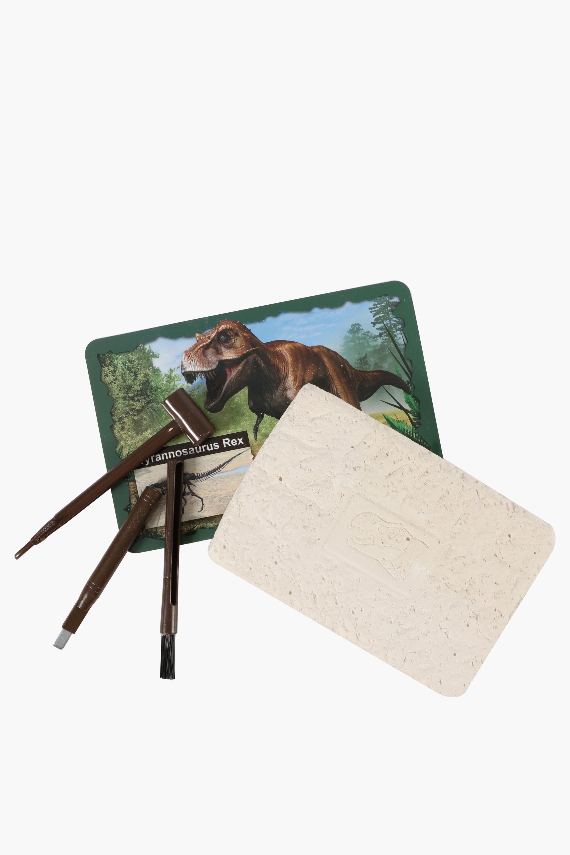 Glow In The Dark Dinosaur Dig Kit