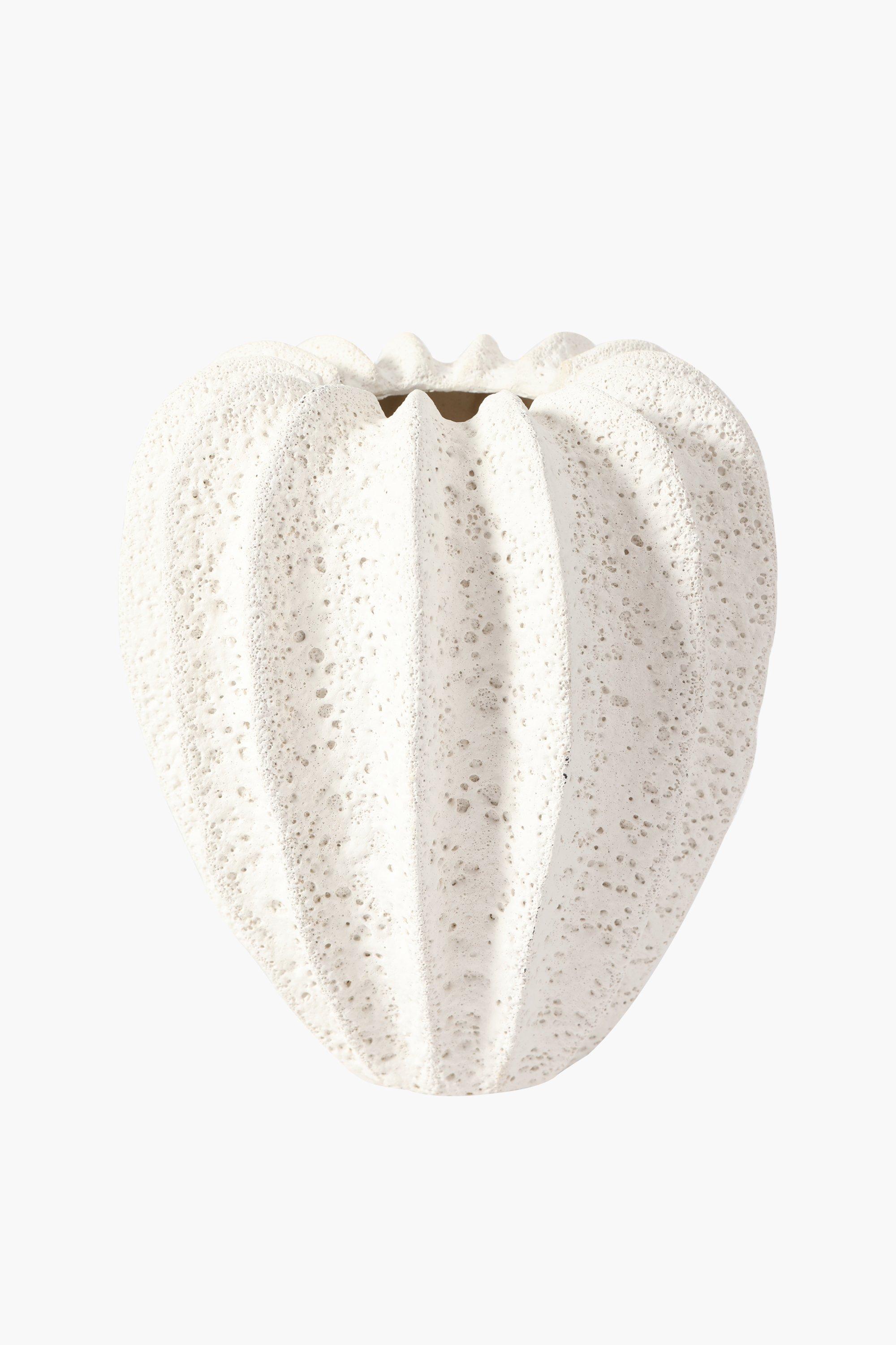 Cora Coral Shell Vase