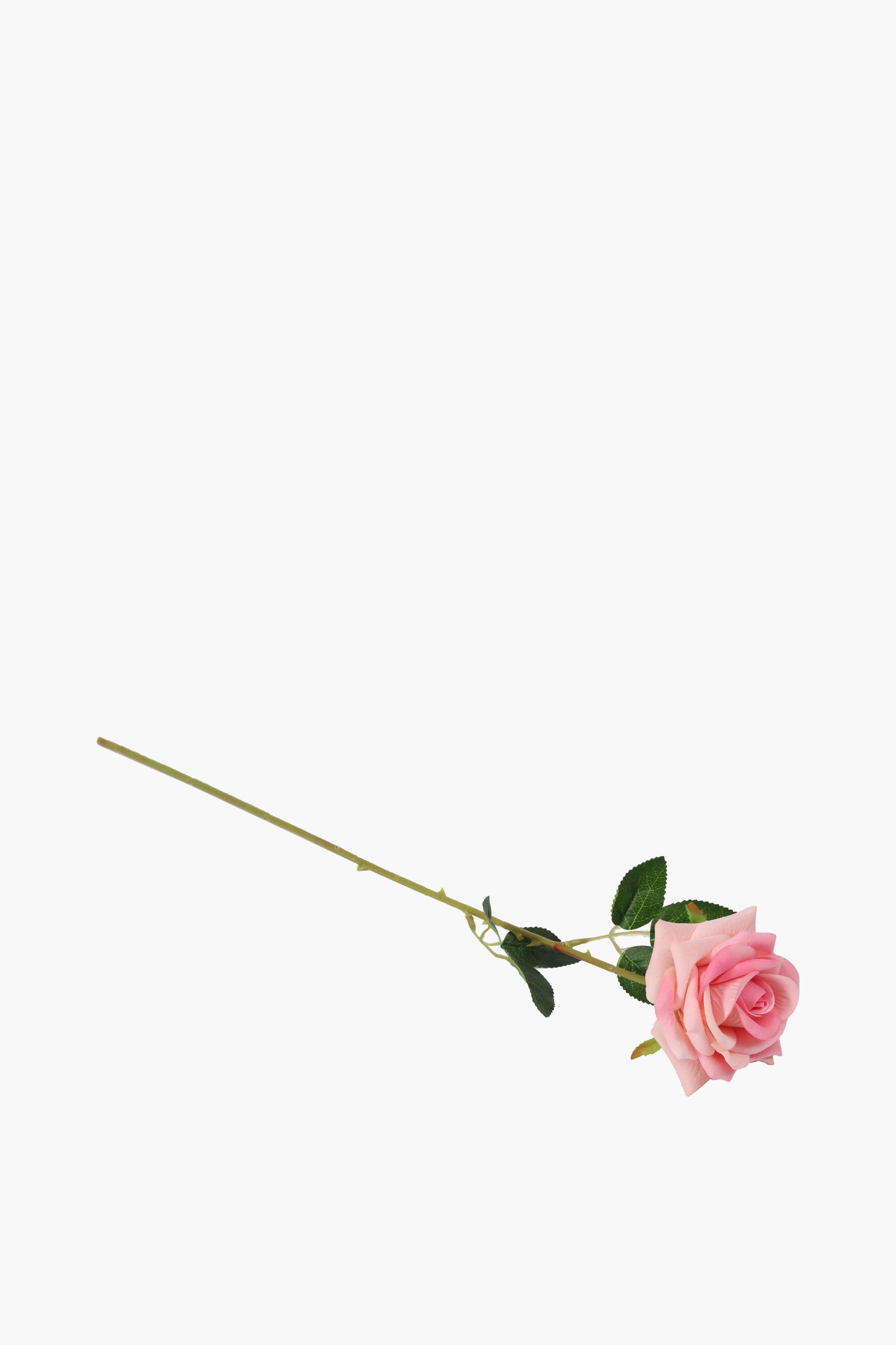 Elegant Rose Single Stem