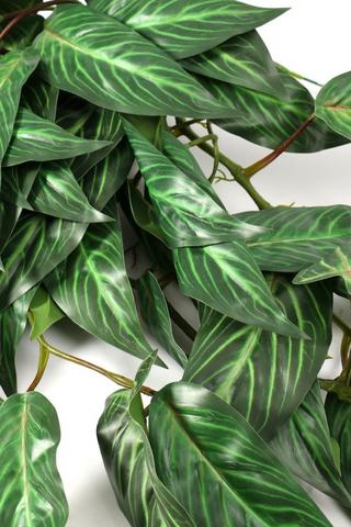 Variegated Leaf Filler