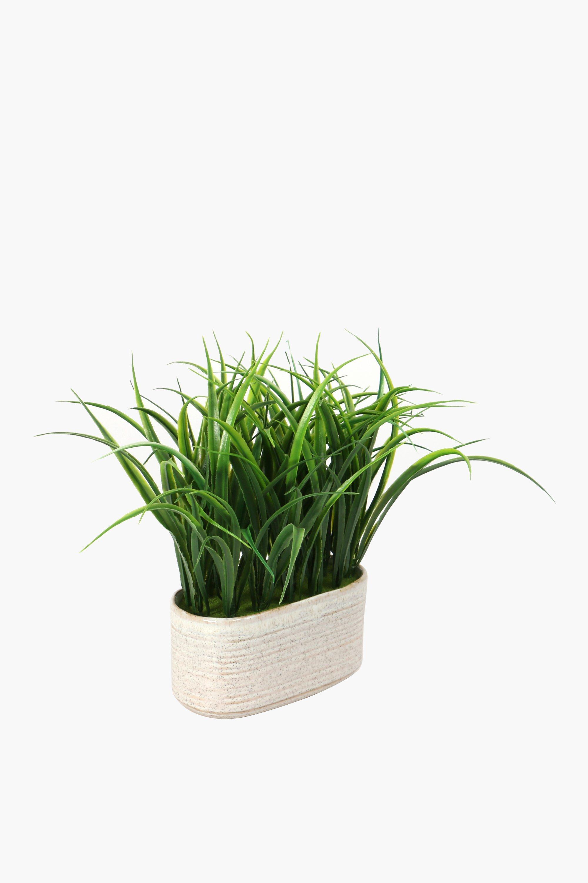 Oval Potted Grass