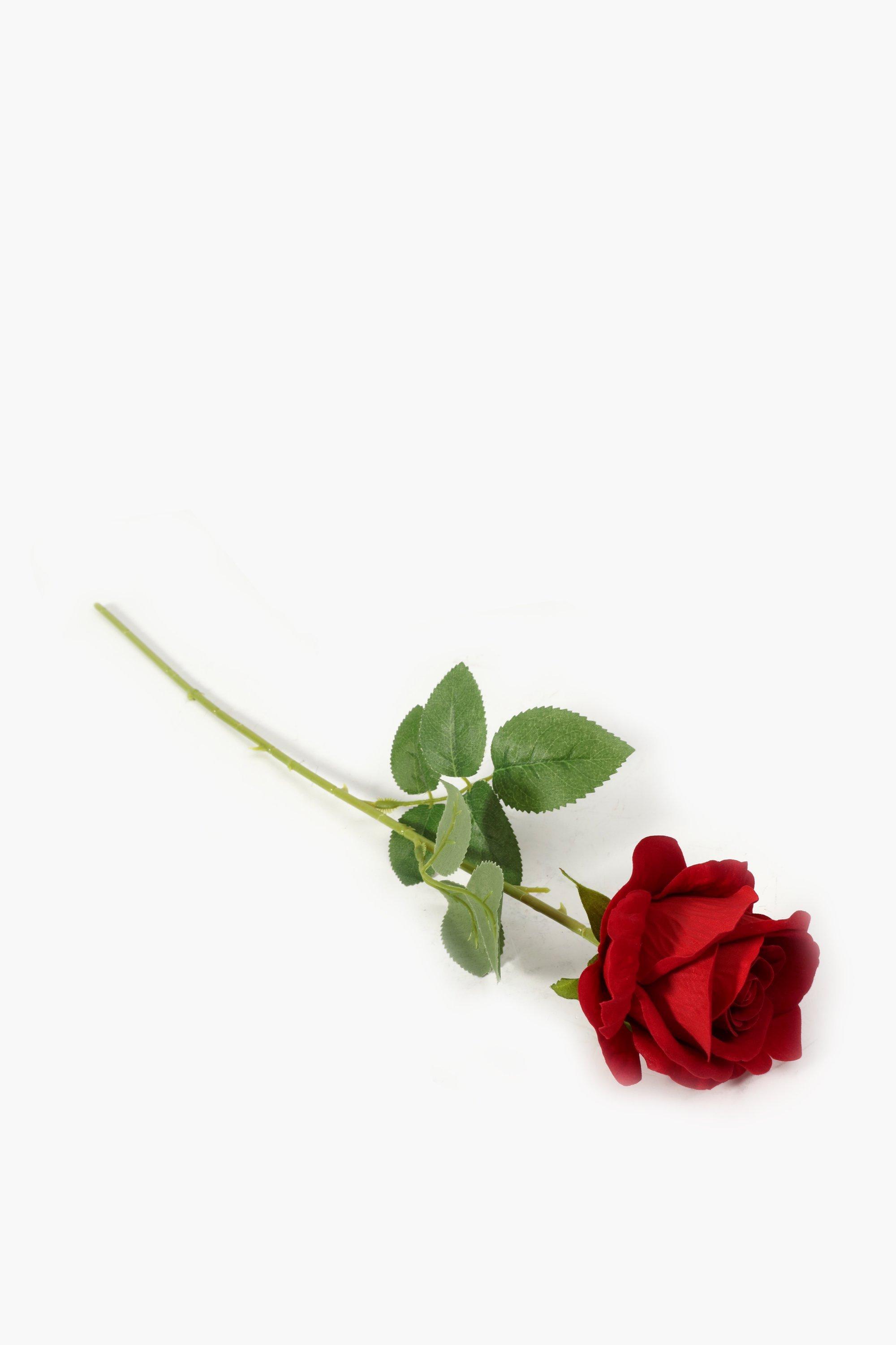 Elegant Rose Single Stem