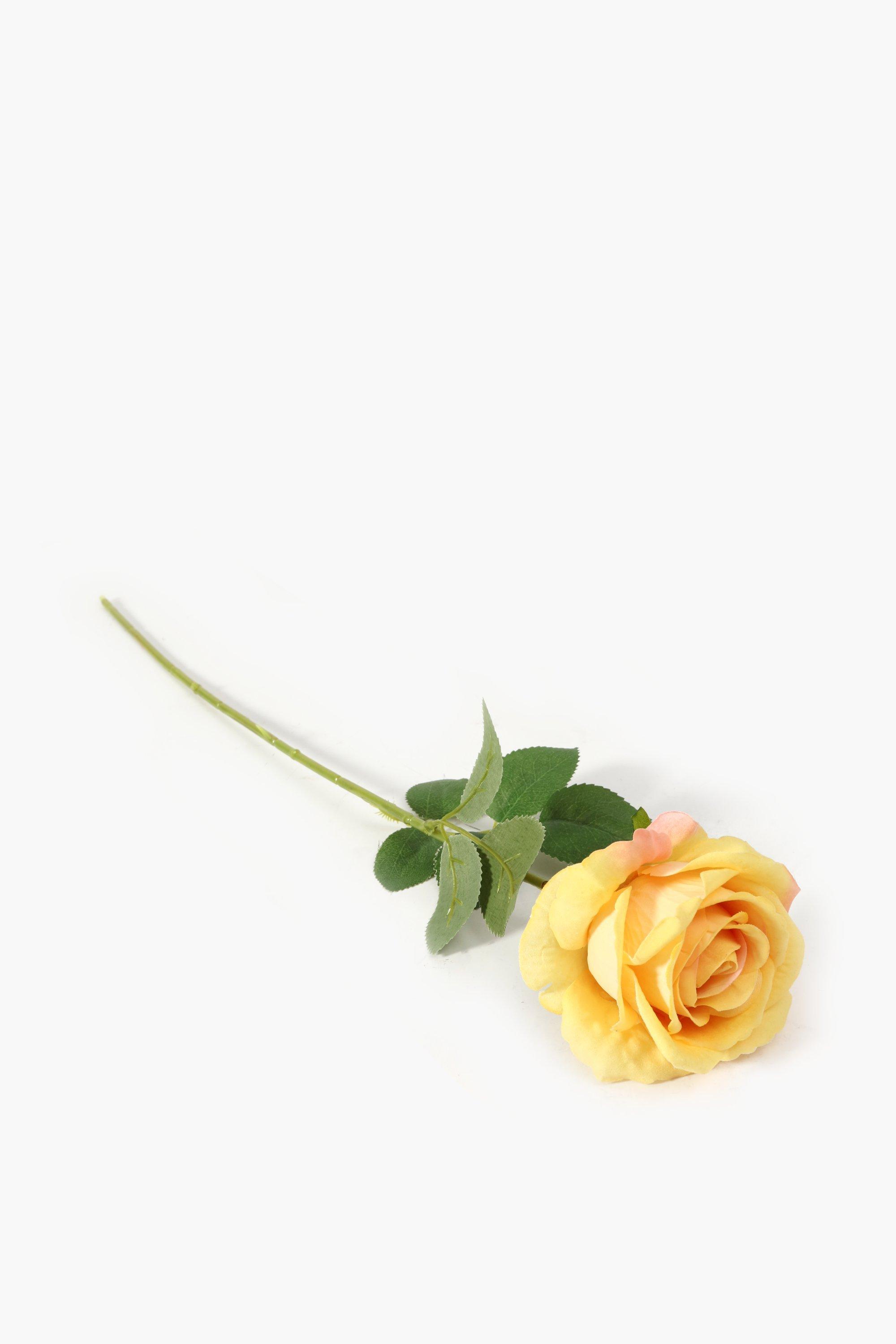 Elegant Rose Single Stem